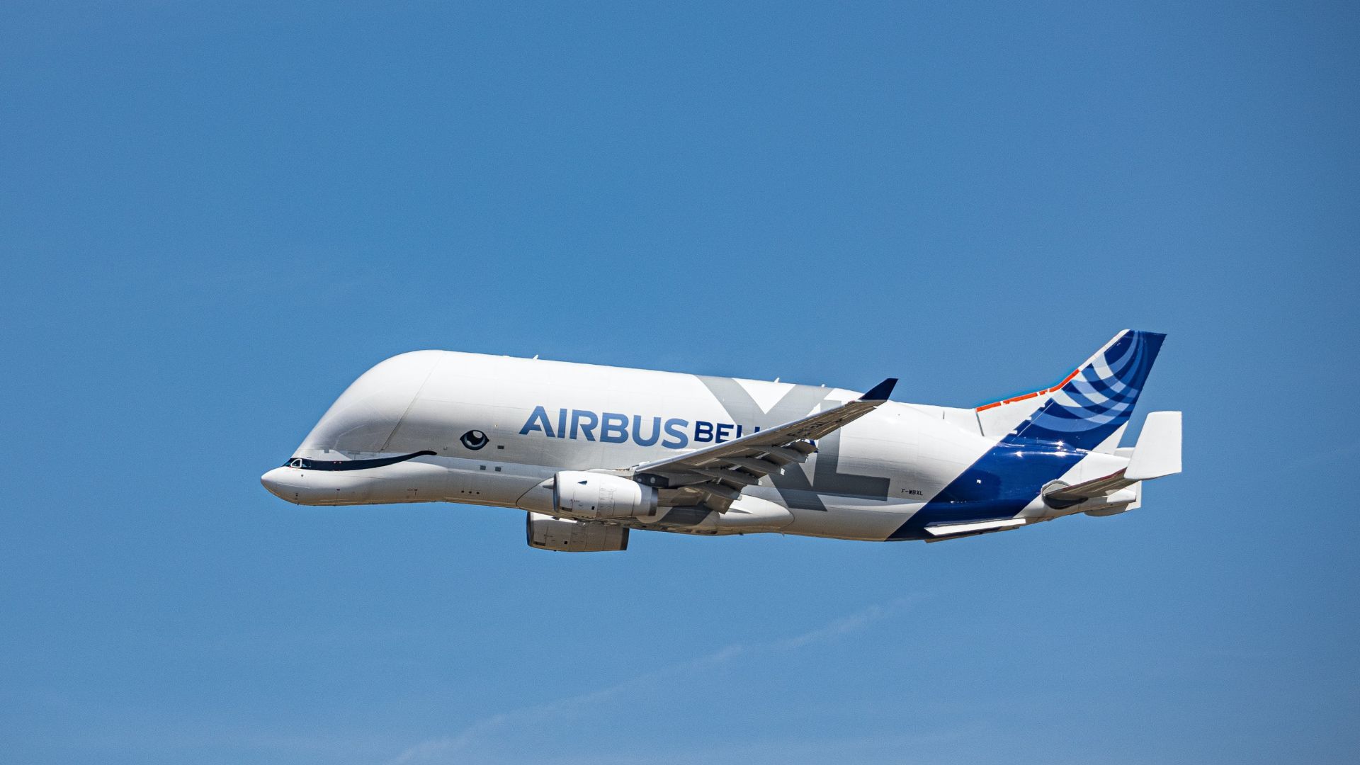 Some Interesting Facts About The Huge Whale-Shaped Airbus Beluga