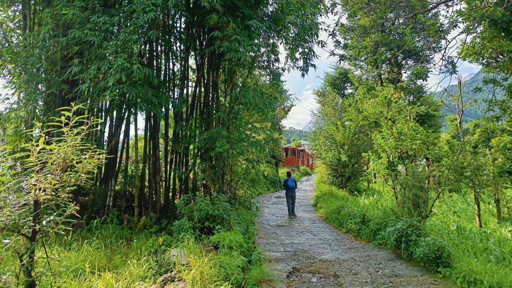 Finding Countryside Paradise In Rakh, A Village In Himachal Pradesh