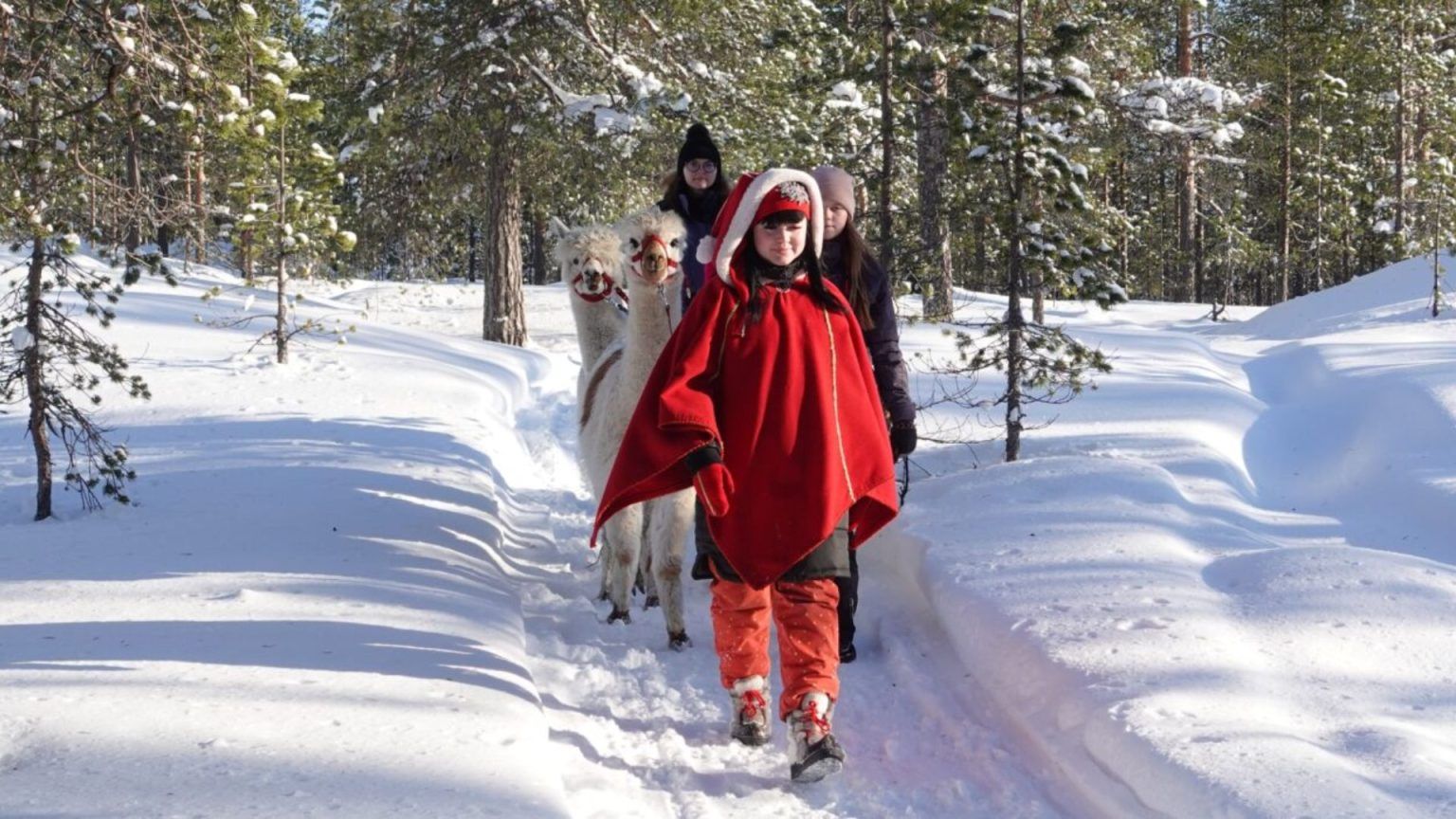 Everything to know about Santa Claus Village in Rovaniemi Finland