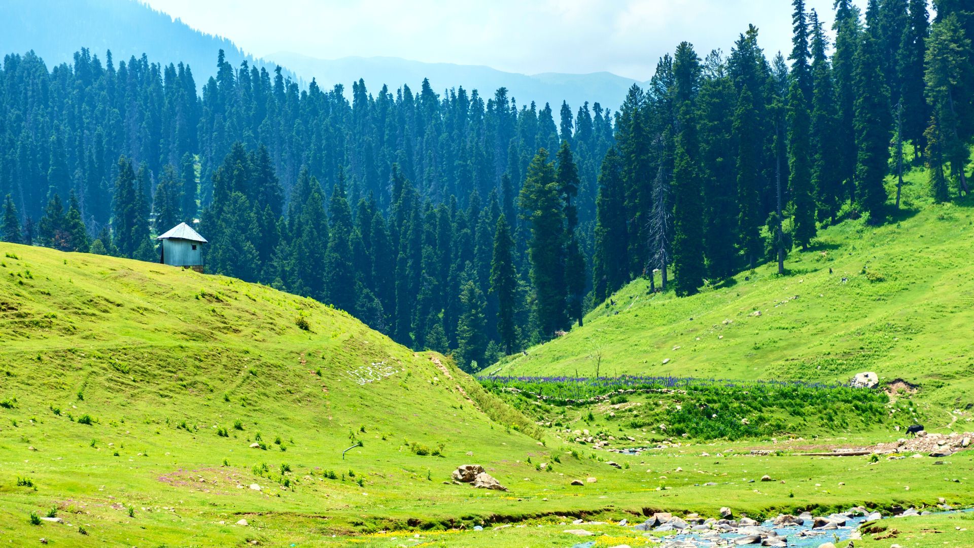 Kashmir's First Vistadome Train Route To Launch This Week
