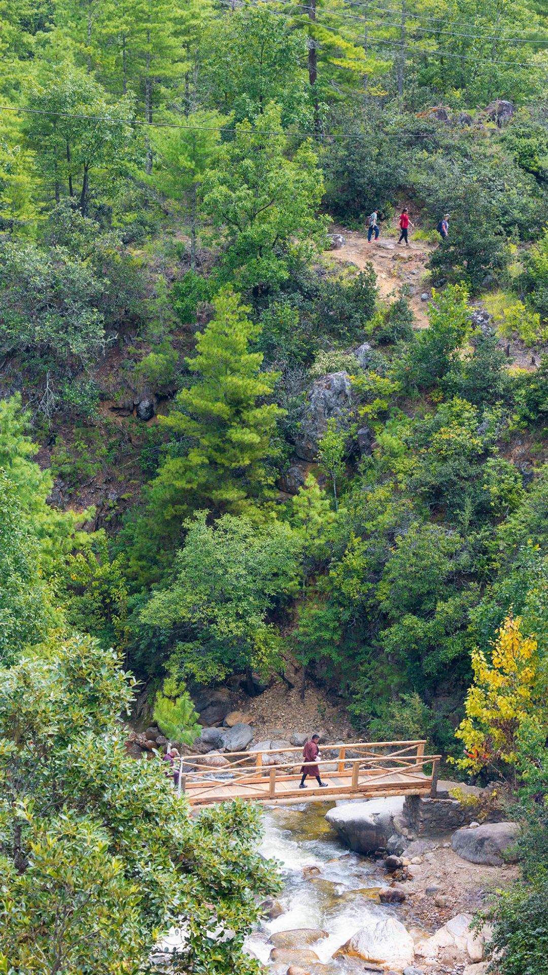 Trans Bhutan Trail Reopened After 60 Years; Here's What It Looks Like!