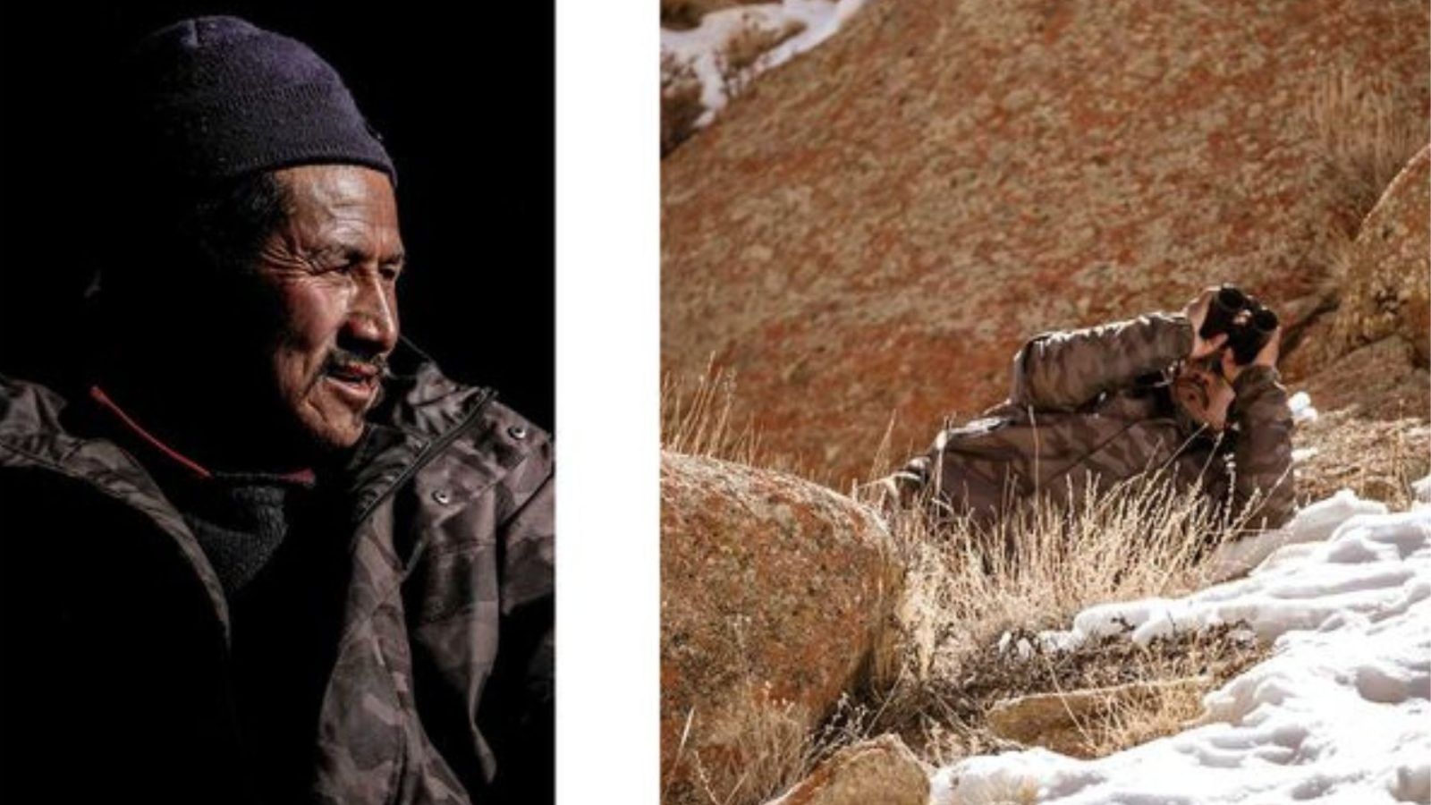 It's Possible To See Rare Snow Leopards In India’s Himalayan Mountains