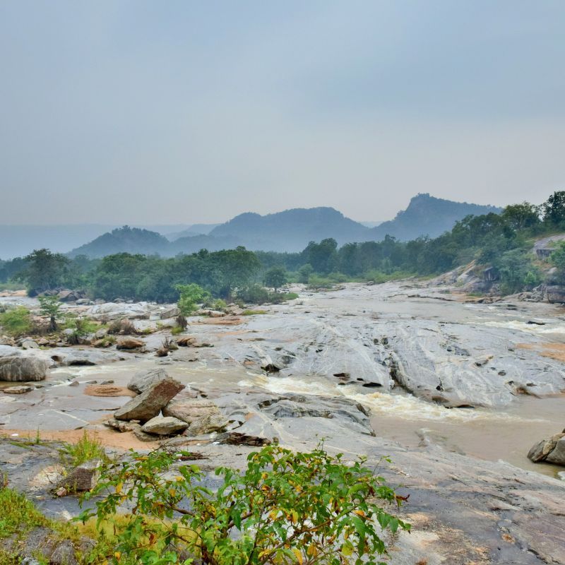 ecotourism Archives | Travel and Leisure Asia | India