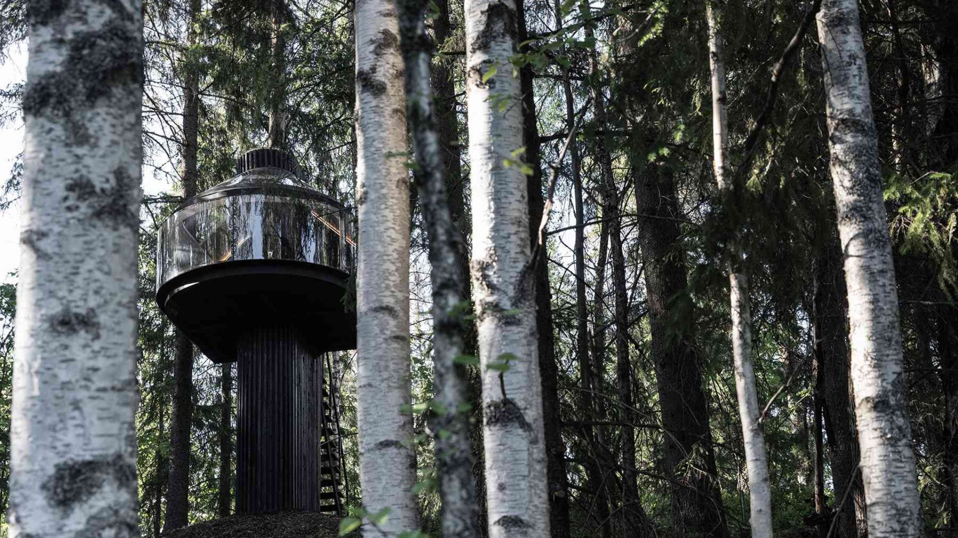 I Stayed In A Secret Tree House In Finland — Here's What It Was Like