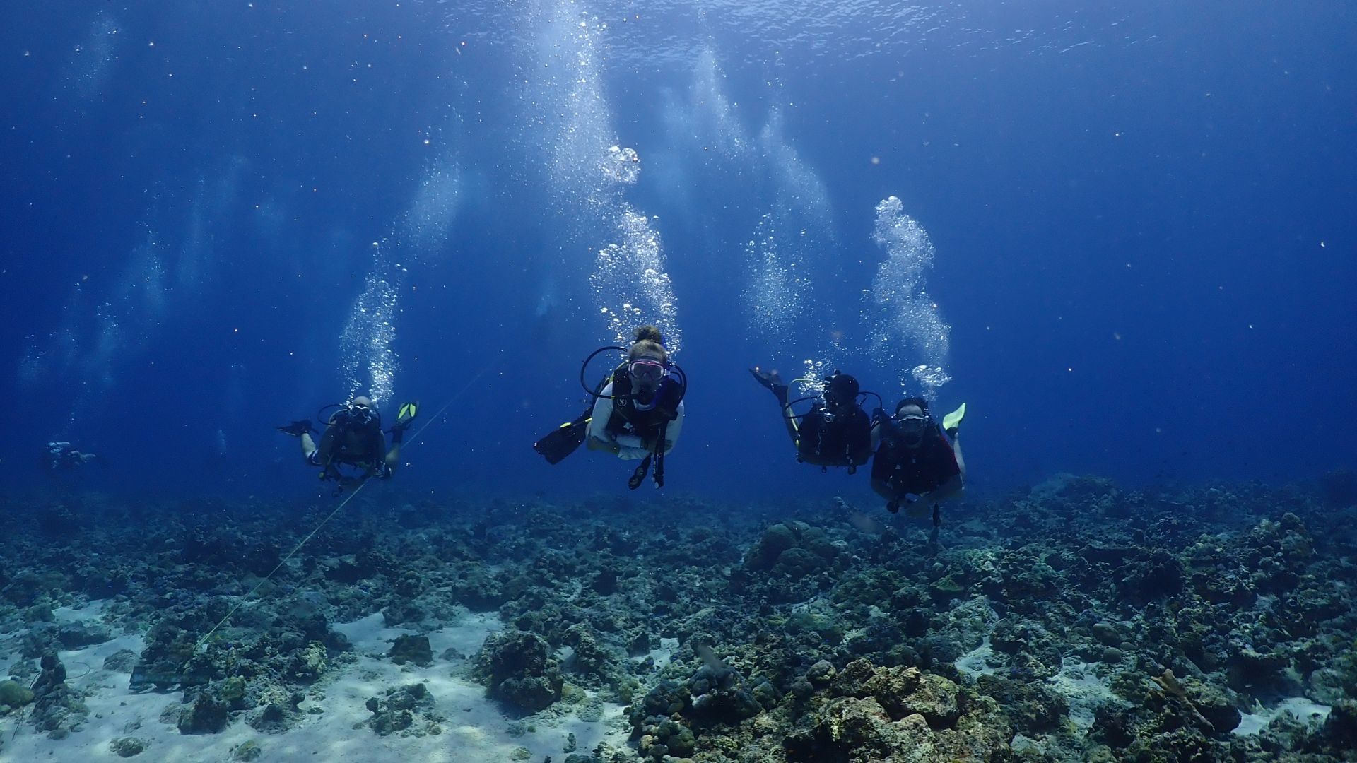 These Are The Best Scuba Diving Spots In India
