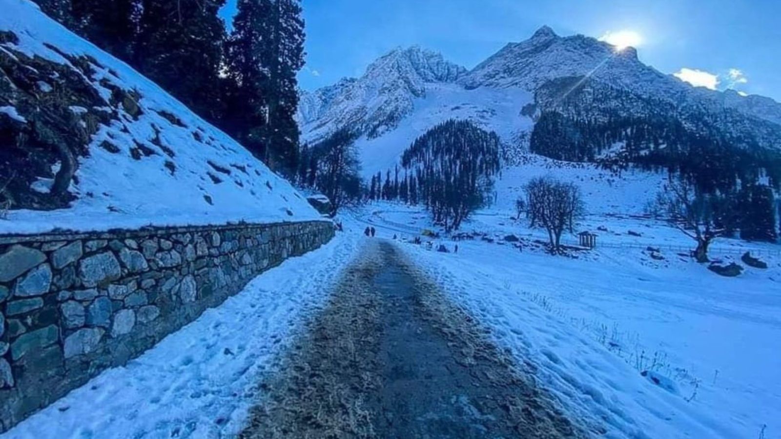 Kashmir Snowfall: Mesmerising Images Of The White-Covered Valley
