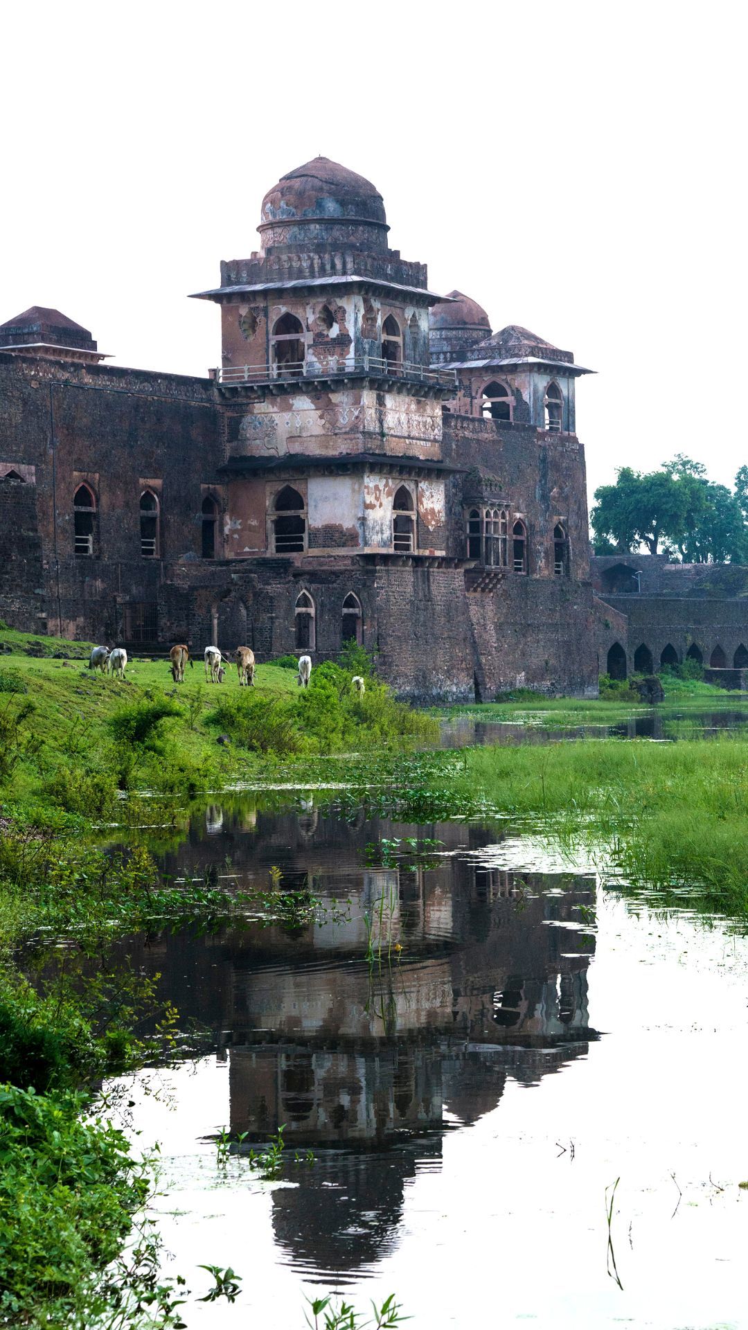 A Traveller's Tale Of This Year's Mandu Festival In Madhya Pradesh