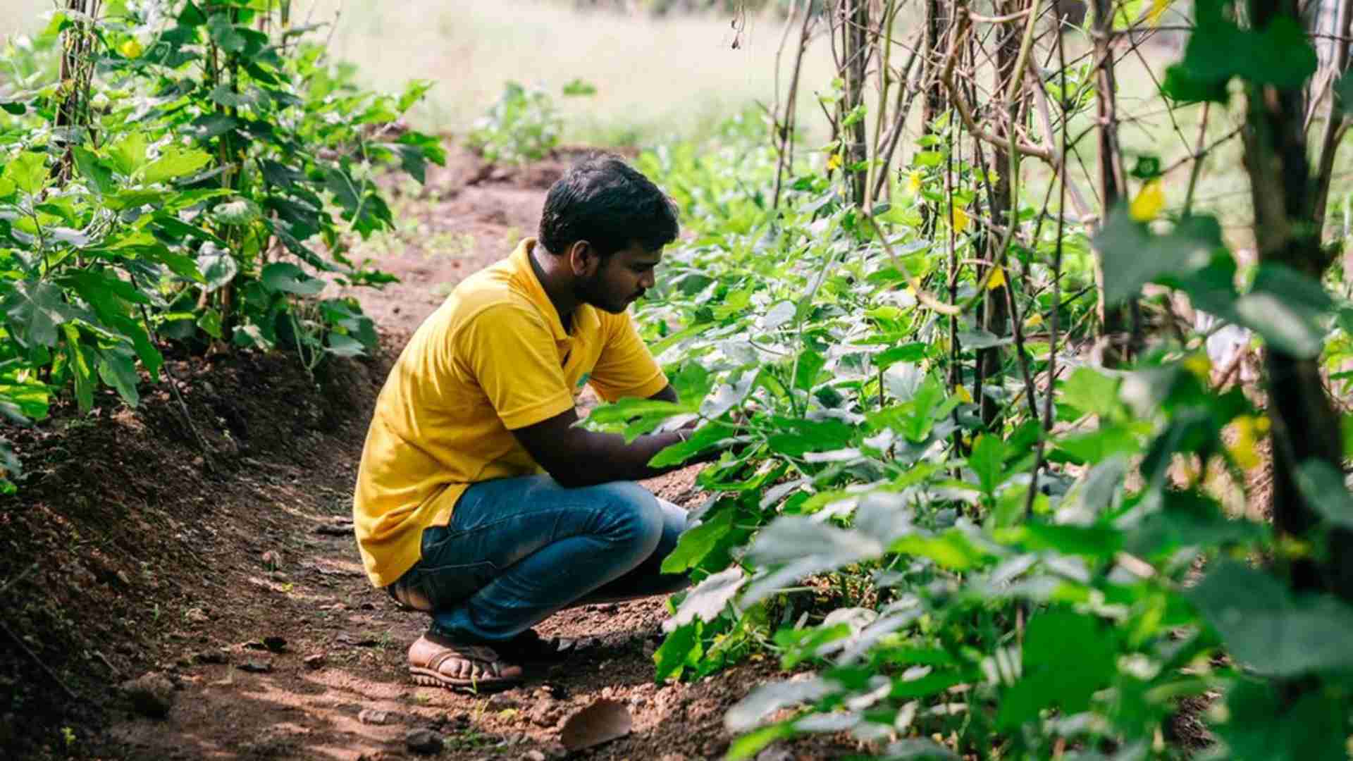 Immerse Yourself In Nature At Tooth Mountain, A Boutique Farm Stay
