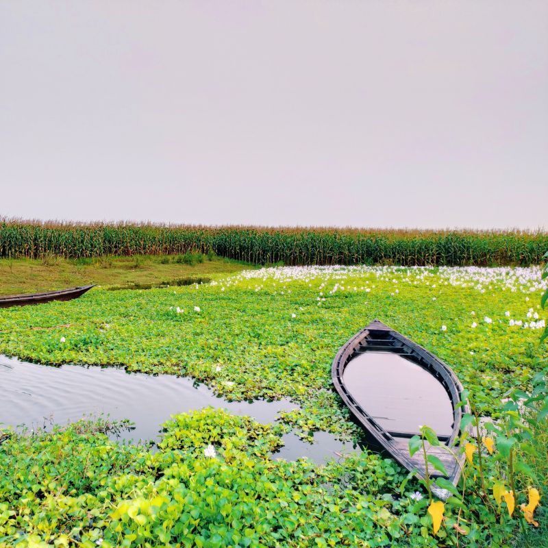 Most Beautiful Places In Assam, From Guwahati To Majuli