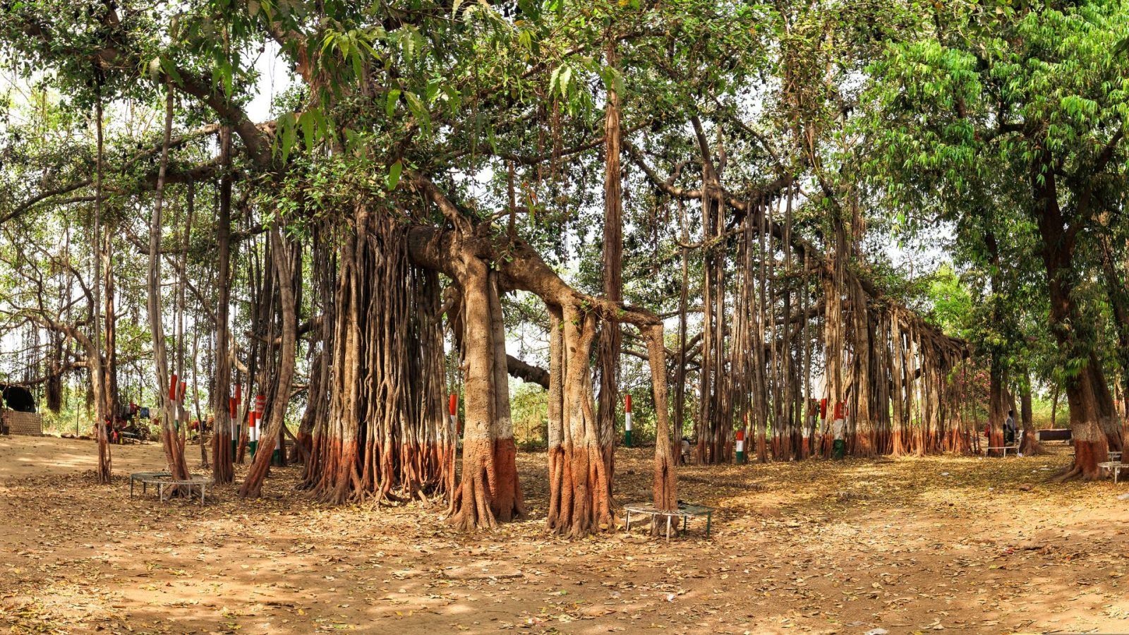 By Air, By Road, By Train: The Best Places To Visit In Vadodara