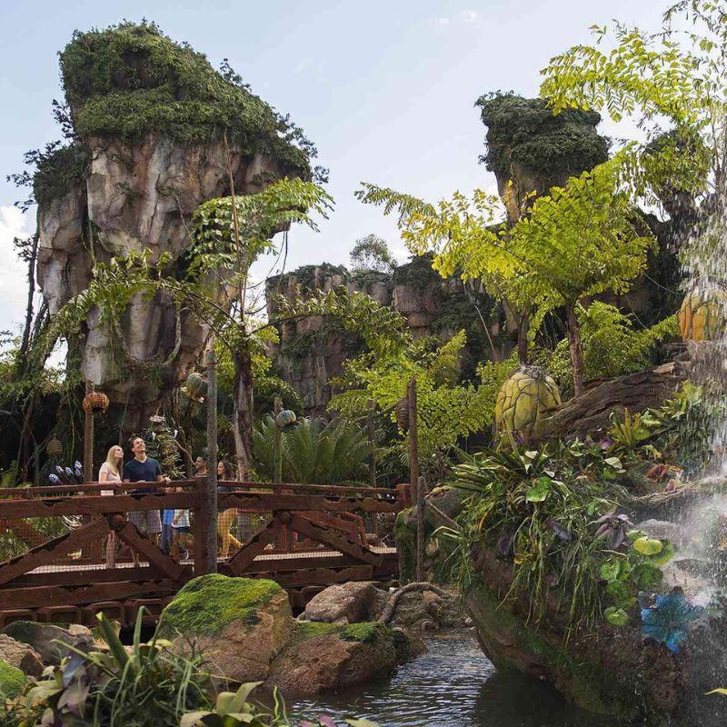 DisneyLand Archives | Travel and Leisure Asia | India