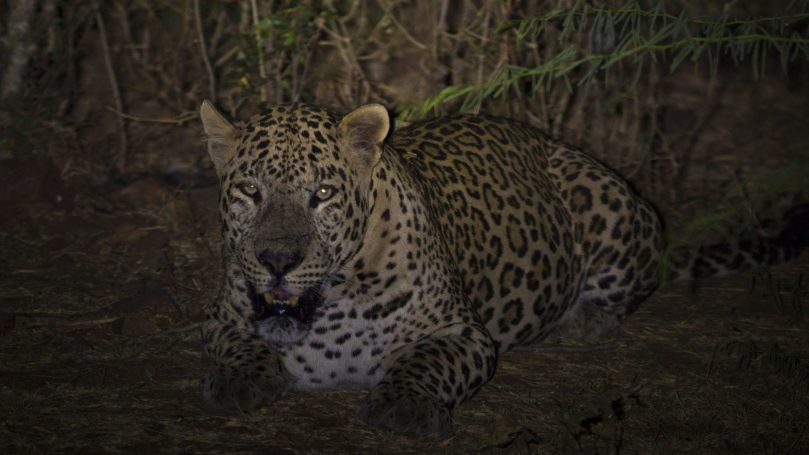 20 spectacular places to visit in Gujarat