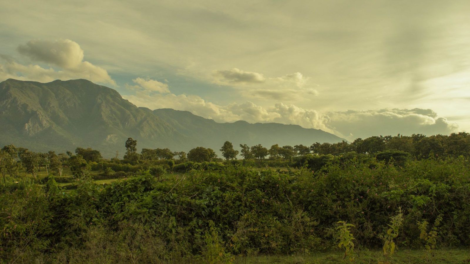 Best Places To Visit In April In India To Enjoy Early Summers