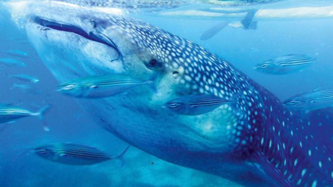 The Secrets Of AI In Fashion, As Told By Designer Jayesh Sachdev