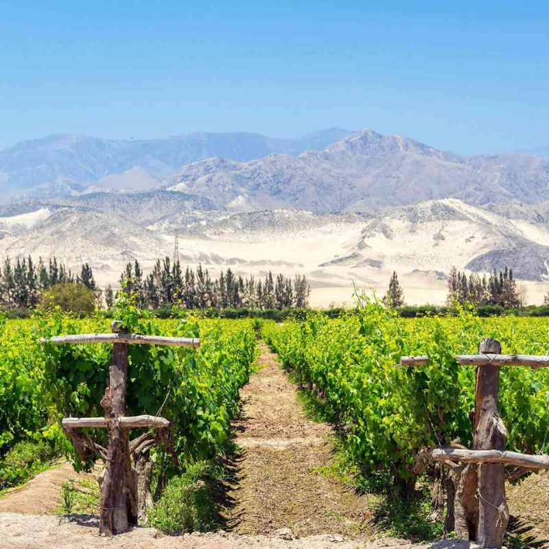 This Luxury Private Jet Tour Takes You Around The World In 22 Days