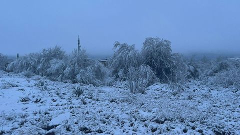 Significant Snow Fell In The Arizona Desert — See Photos