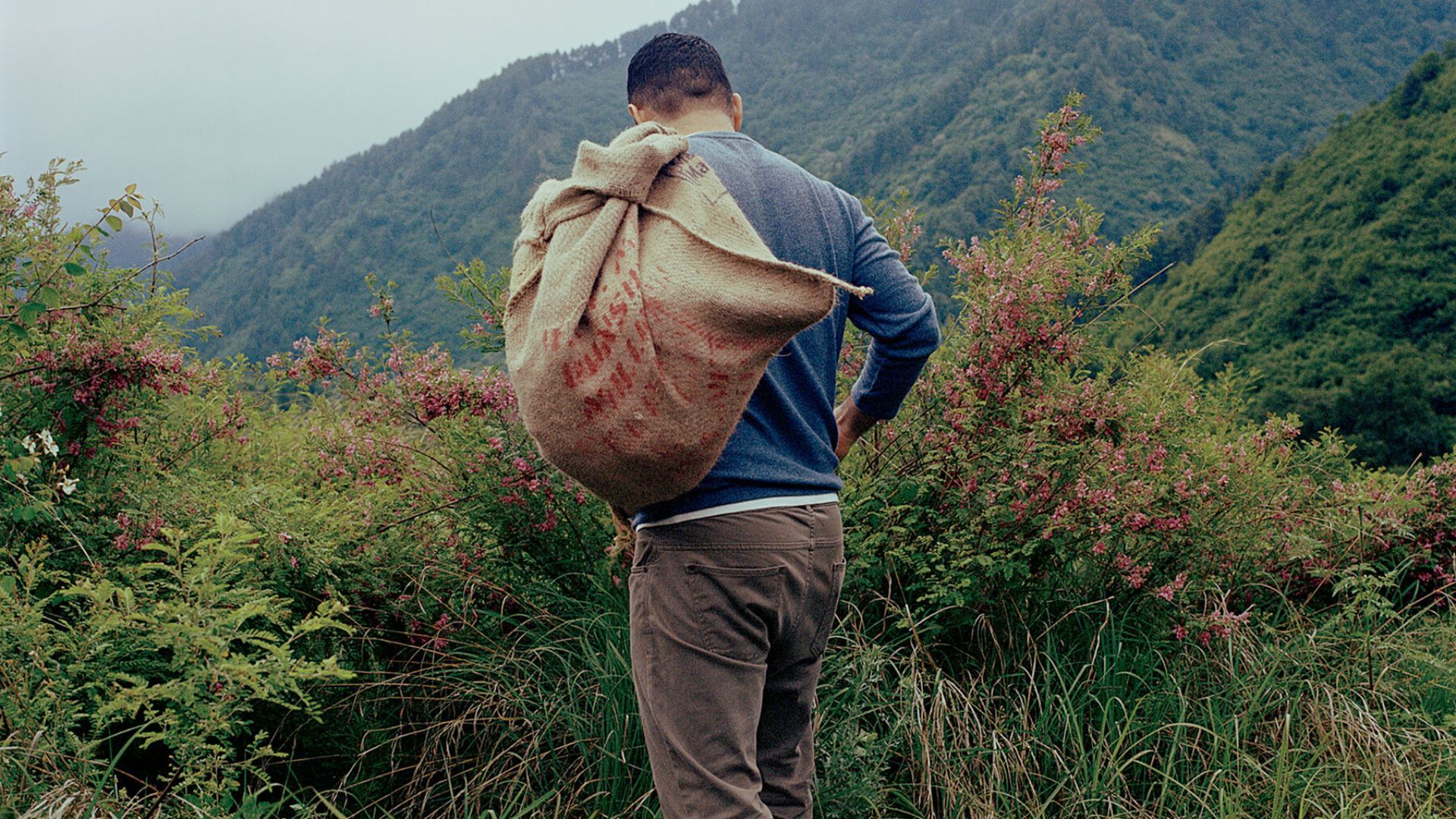 Chef Prateek Sadhu Is Set To Launch The Himalayan Table In Kasauli