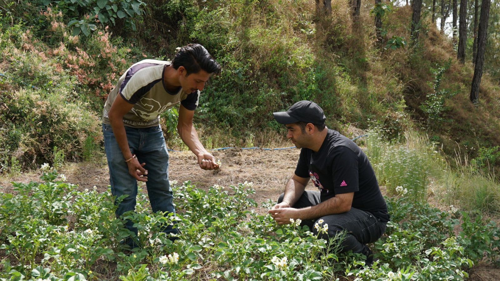 Chef Prateek Sadhu Is Set To Launch The Himalayan Table In Kasauli