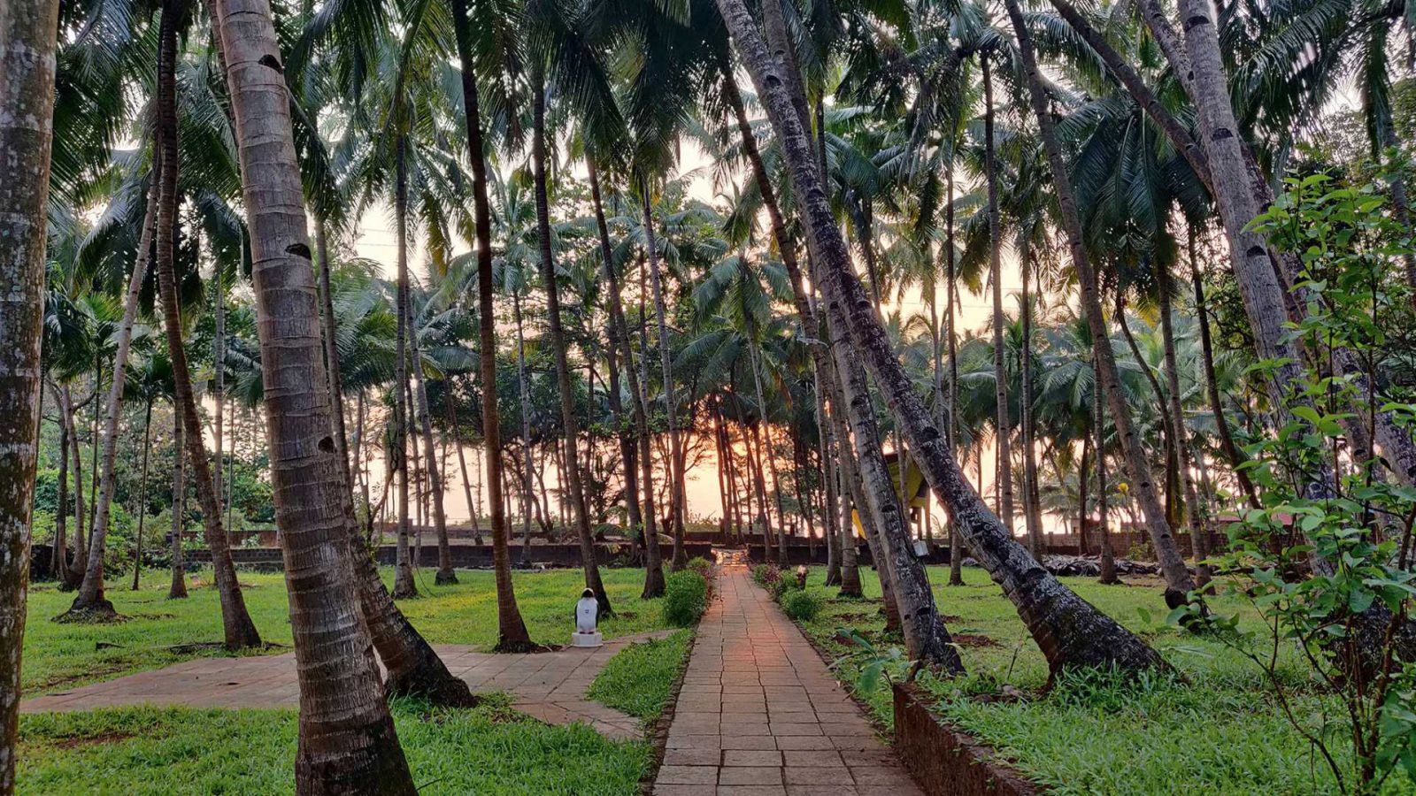 A Journal Of Childhood Memories Of The Konkan Coast In Maharashtra