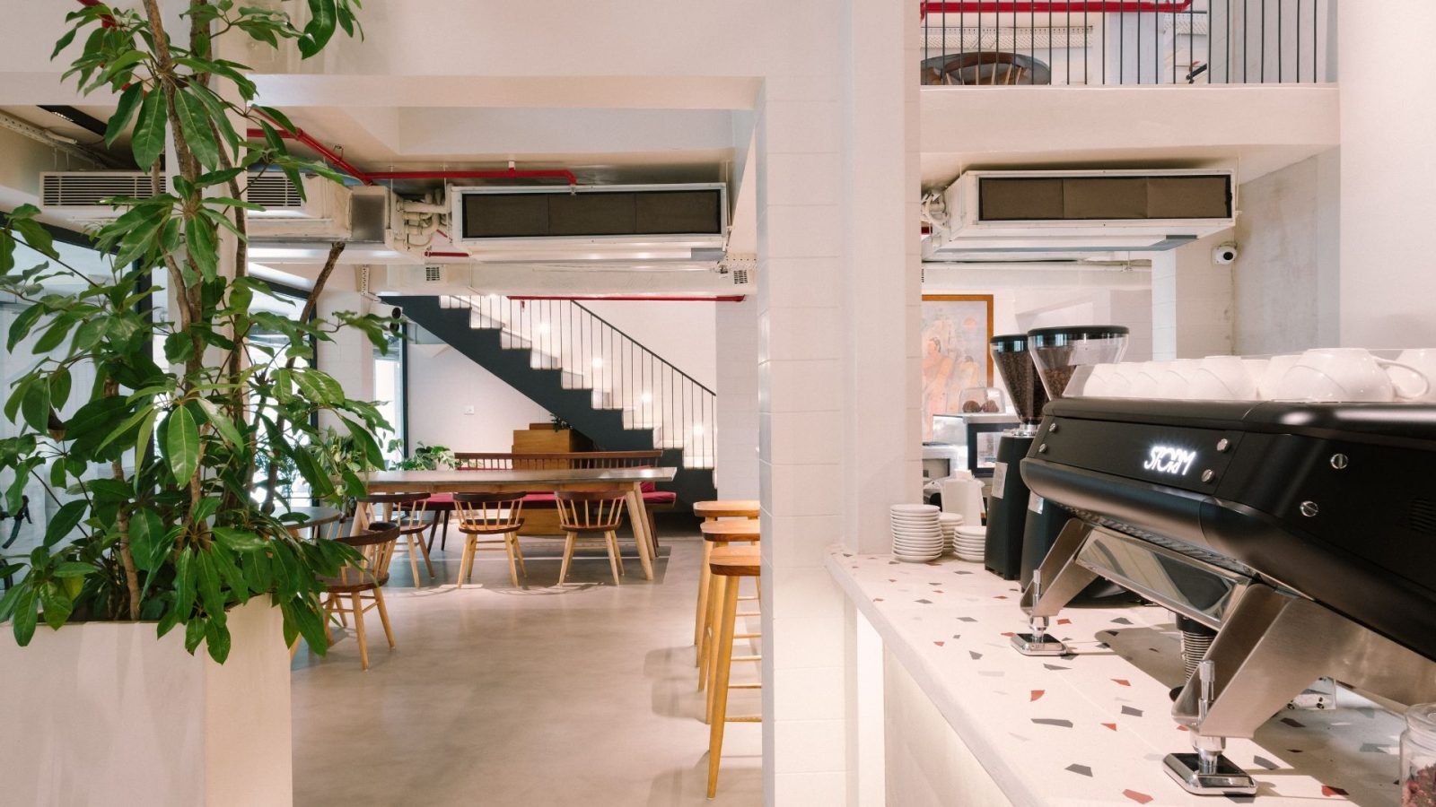 Fig At Malcha -- A Conscious Food Space Changing Delhi's Culinary Scene