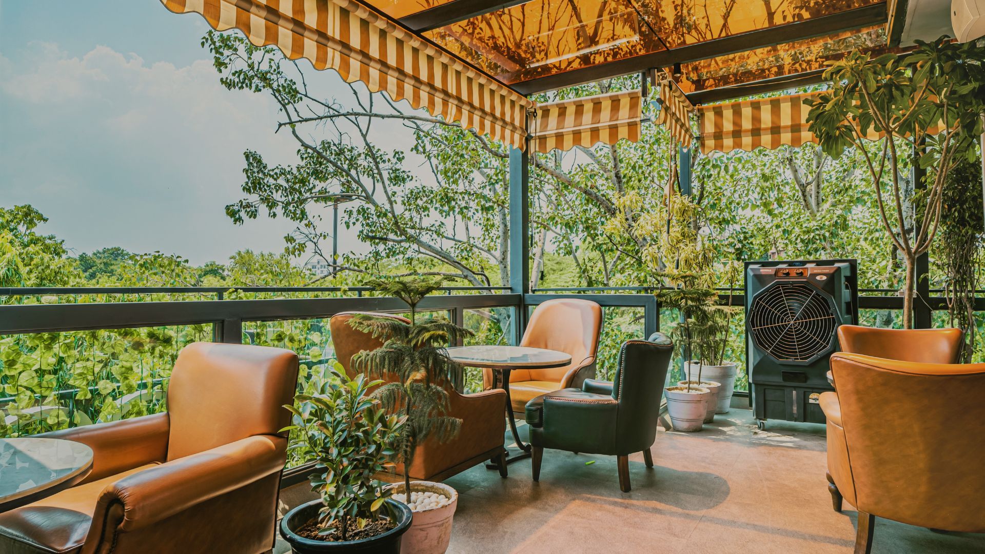Miss Pinto Arrives At The Burgeoning Basant Lok Market In New Delhi