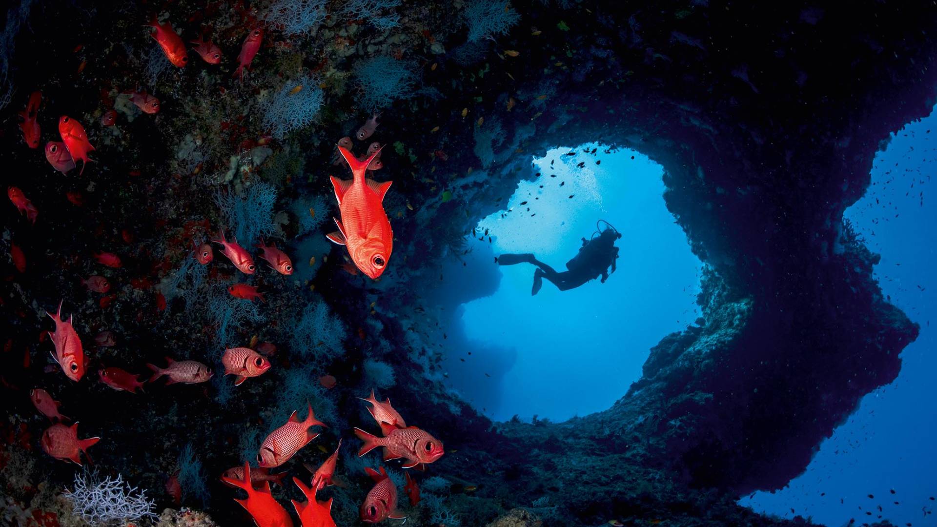 20 Ideas For A Wholesome Family Vacation