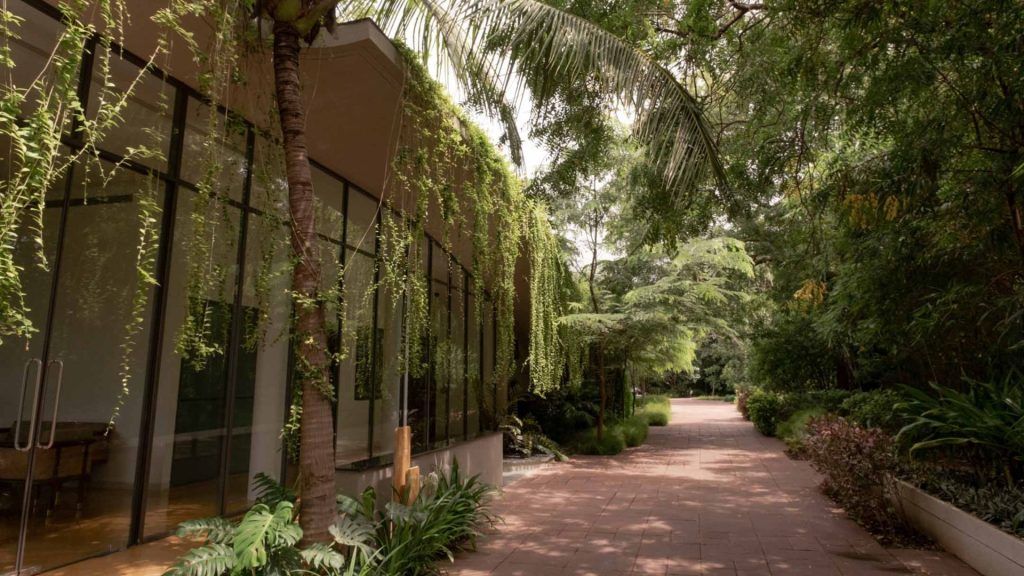 Raga Svara: The Property Where Wellness Meets Luxury