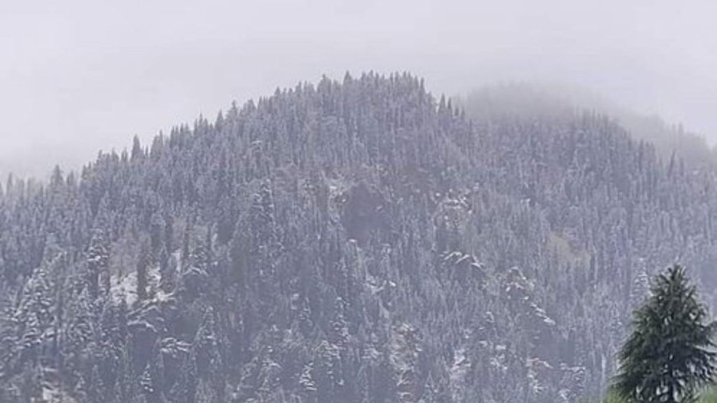 In Pics: Manali Receives Fresh Snowfall