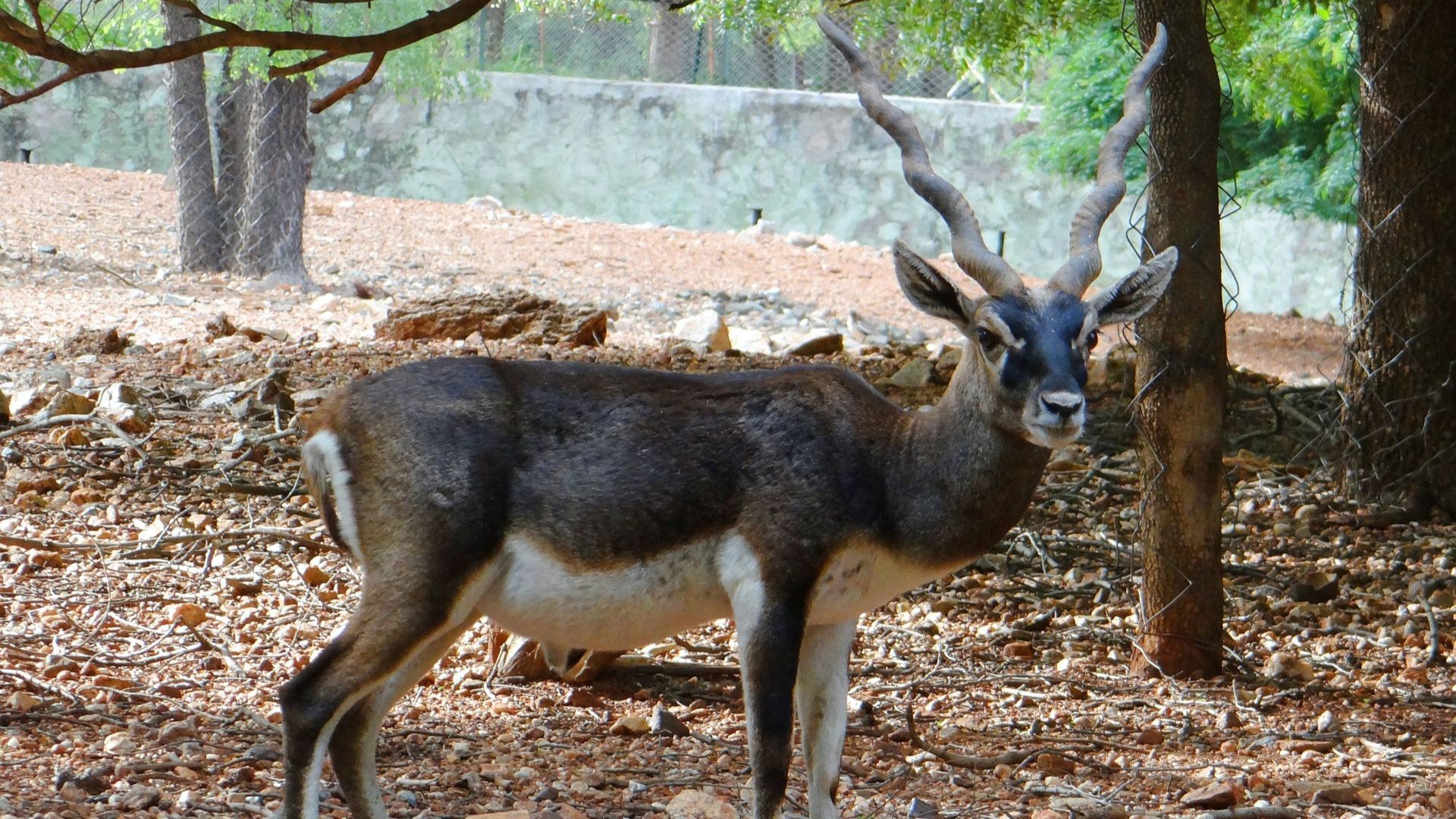 Rajasthan Gets Three New Conservation Reserves