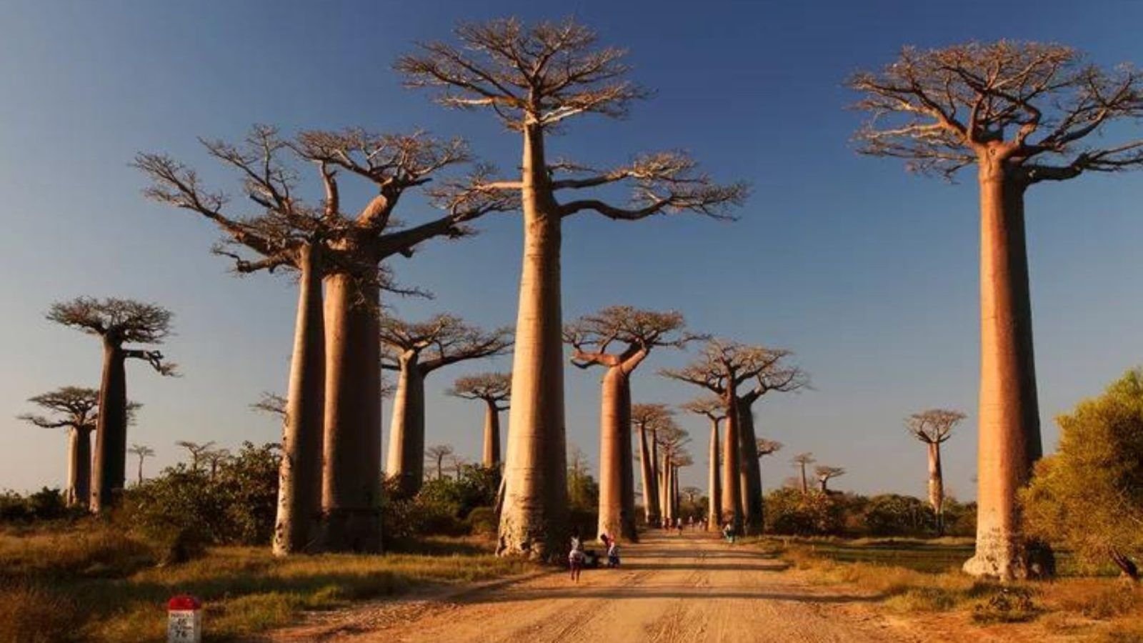 Most Beautiful Places In The World That You Need To See In Your Lifetime