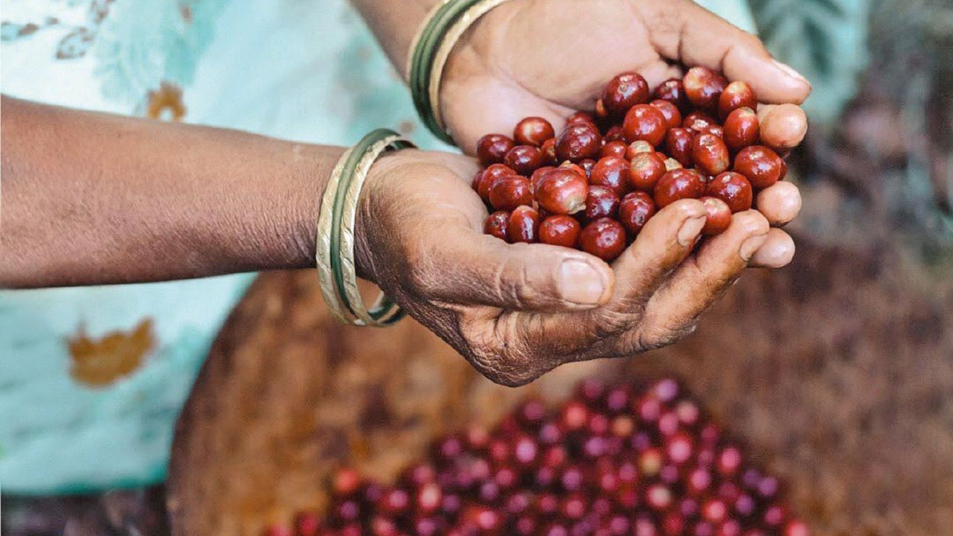 A Visit To Araku Valley, Andhra Pradesh's Coffee Haven Brewing Change