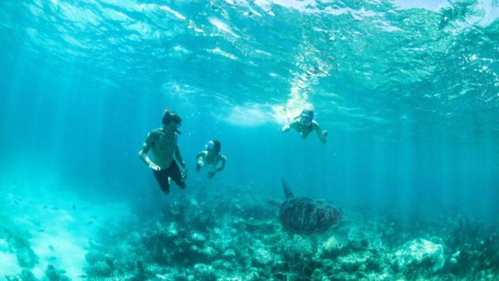 Best Things To Do In Bahamas — From Snorkelling To Island Hopping