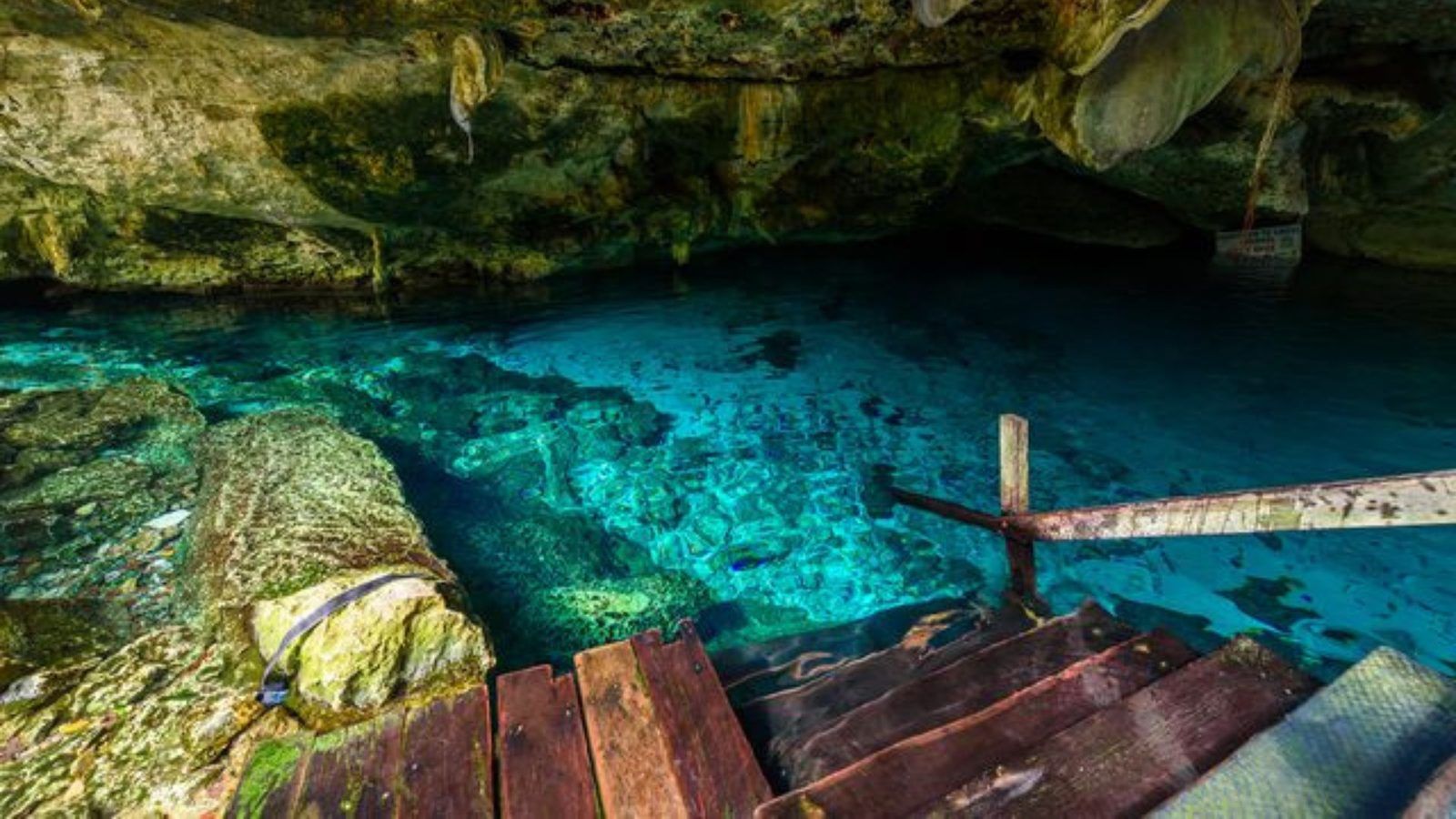 15 Best Cenotes In Tulum, Mexico
