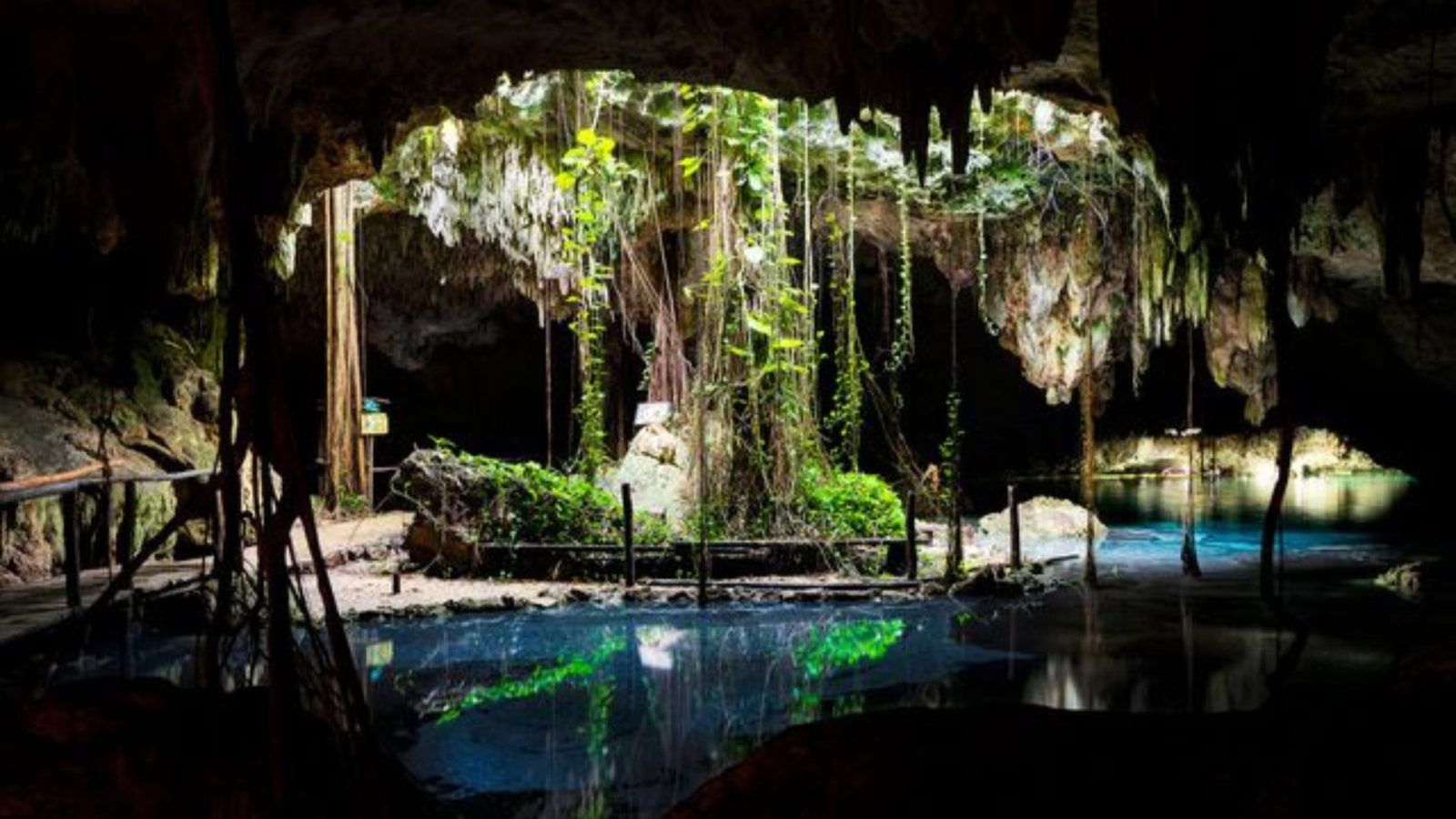 15 Best Cenotes In Tulum, Mexico