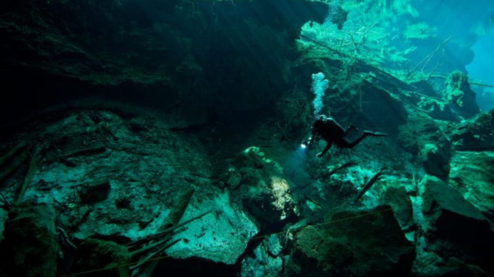 15 Best Cenotes In Tulum, Mexico