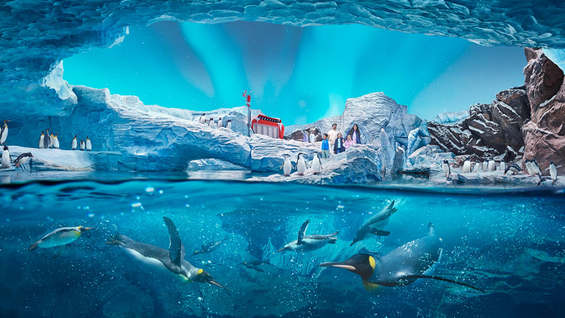 5 Reasons Why Seaworld Abu Dhabi Is Making Waves On Yas Island