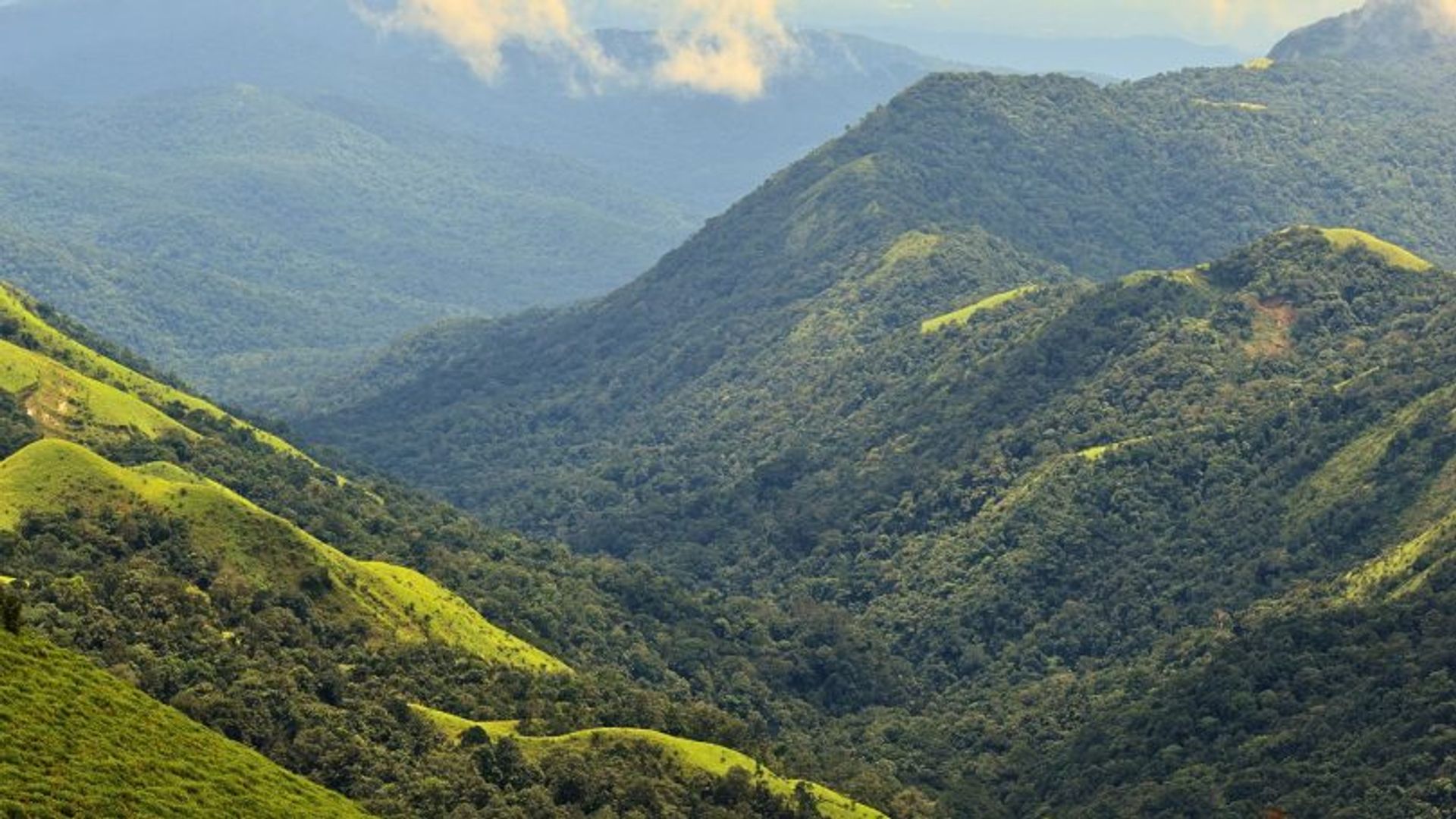 Best Hill Stations In Karnataka For A Breezy Getaway