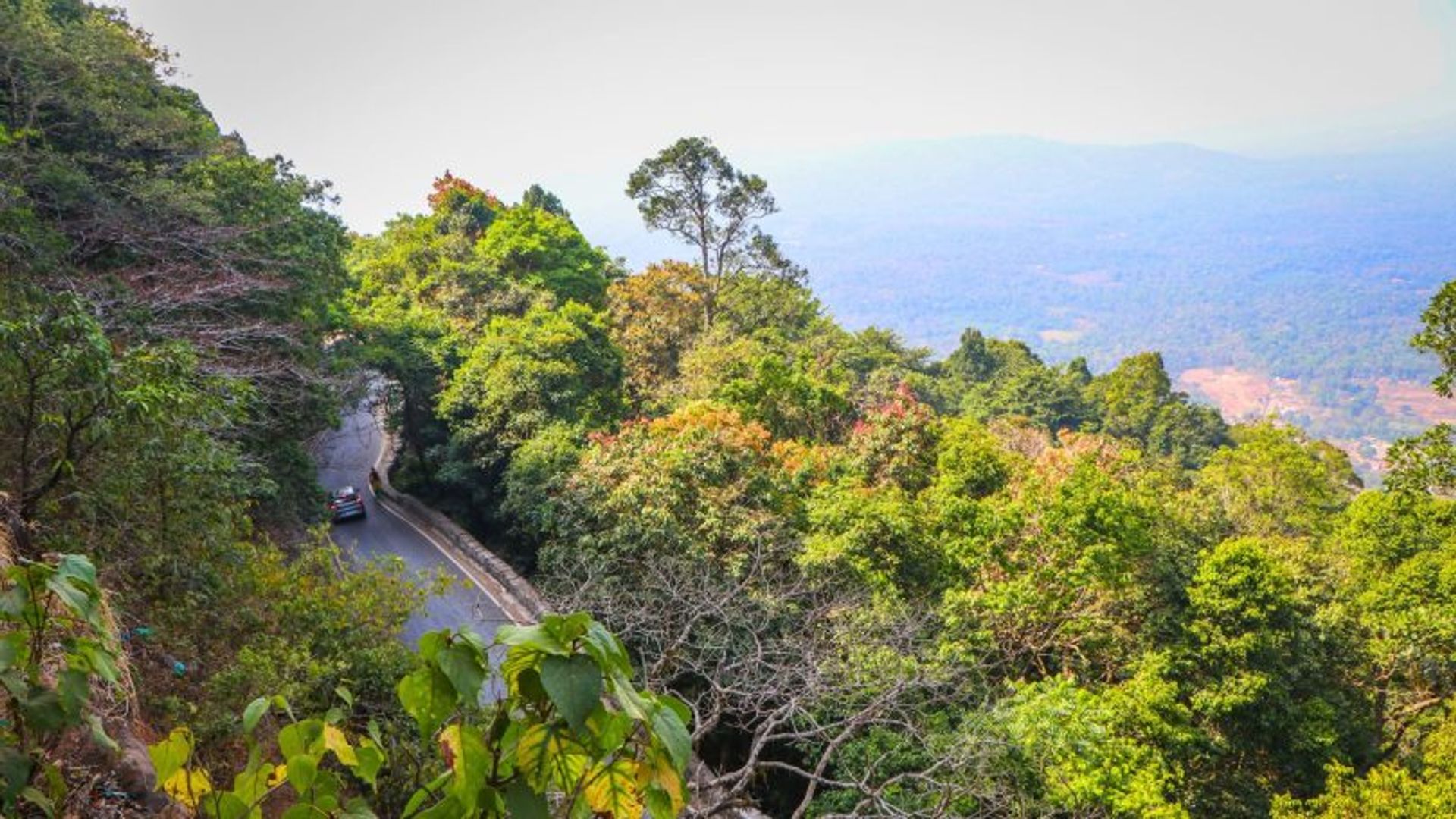 Best Hill Stations In Karnataka For A Breezy Getaway