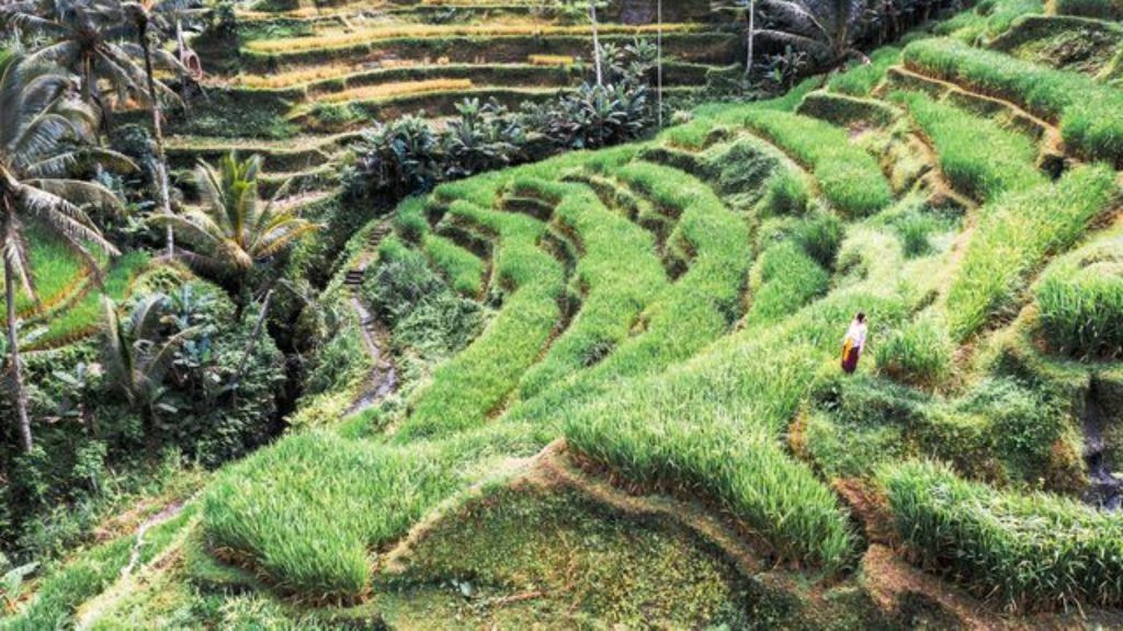 The Best Things To Do In Bali — From Volcano Treks To Luxe Spa Days