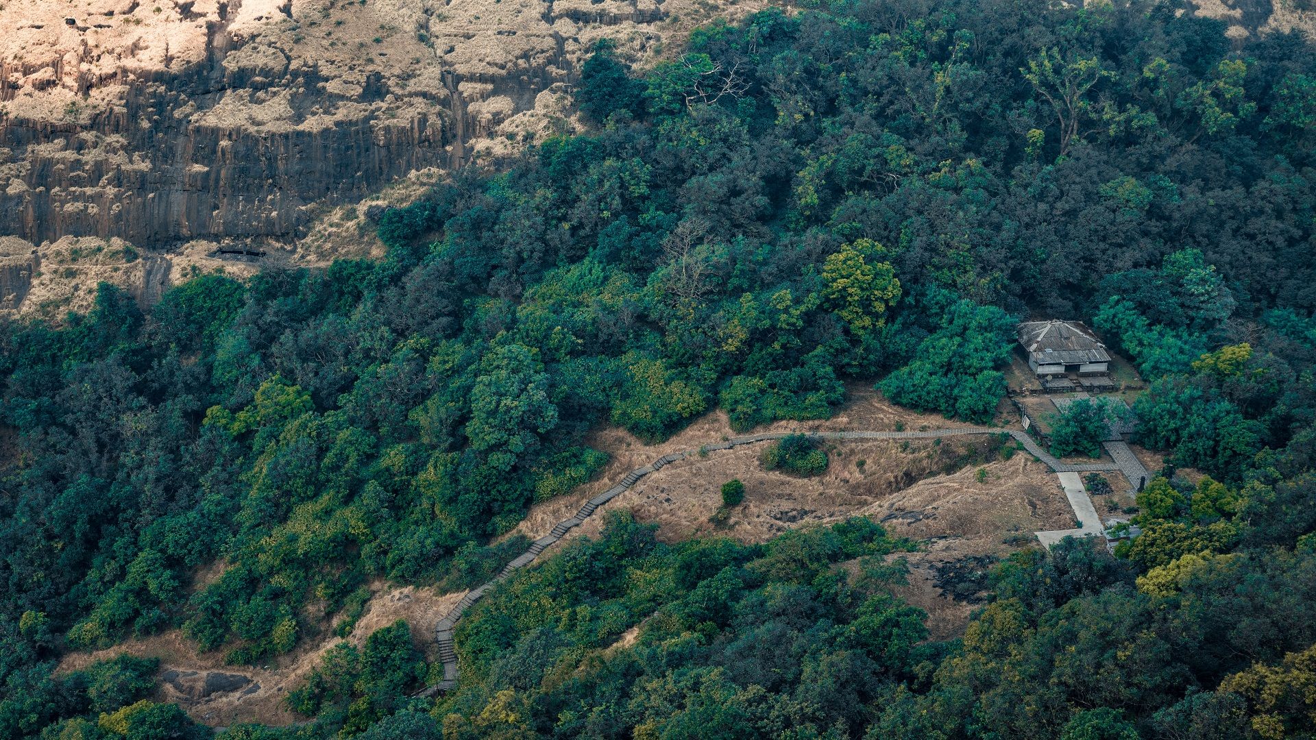 Visit These Sparkling Places In Maharashtra During The Fireflies Festival