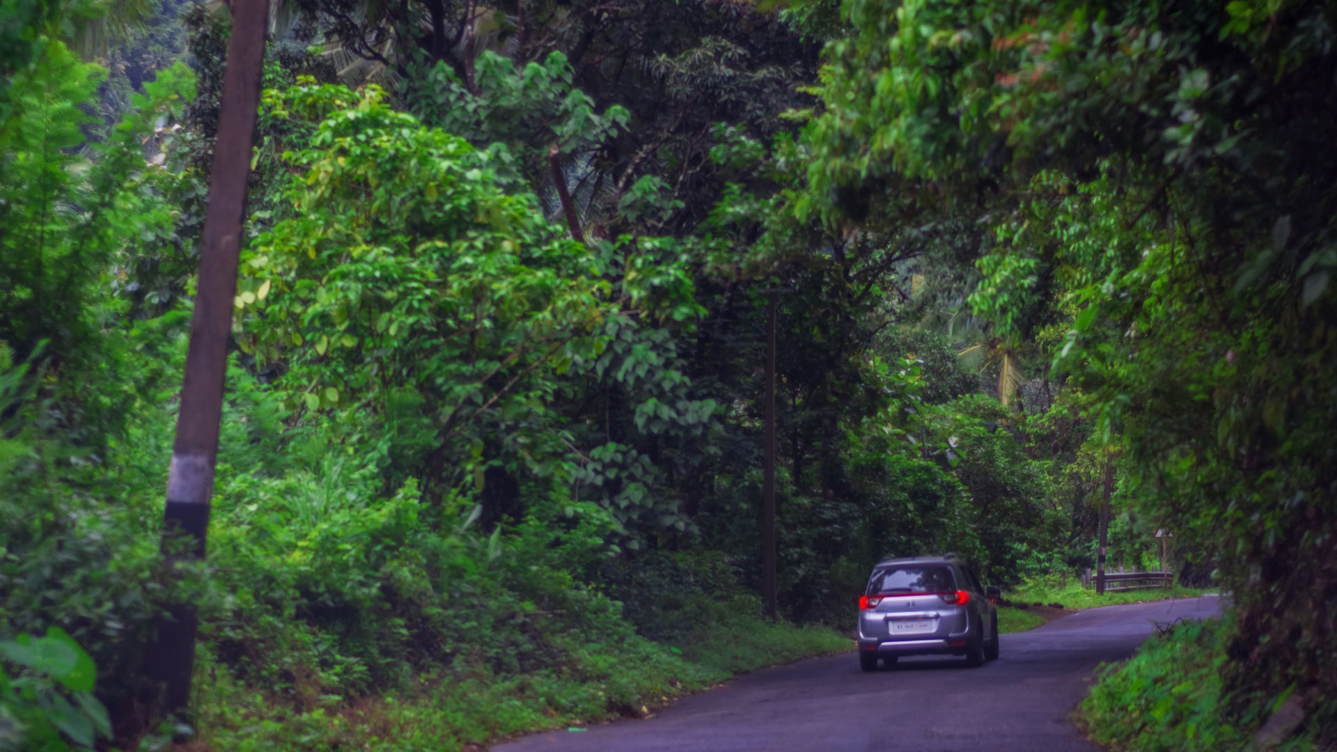 Scenic Drives In India For A Breathtaking Forest Trip This Summer