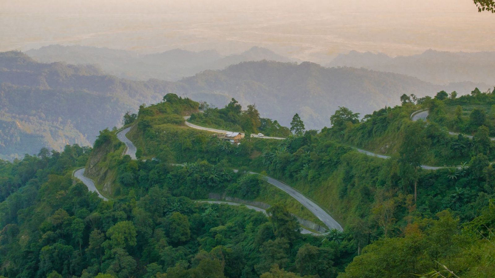 Scenic Drives In India For A Breathtaking Forest Trip This Summer