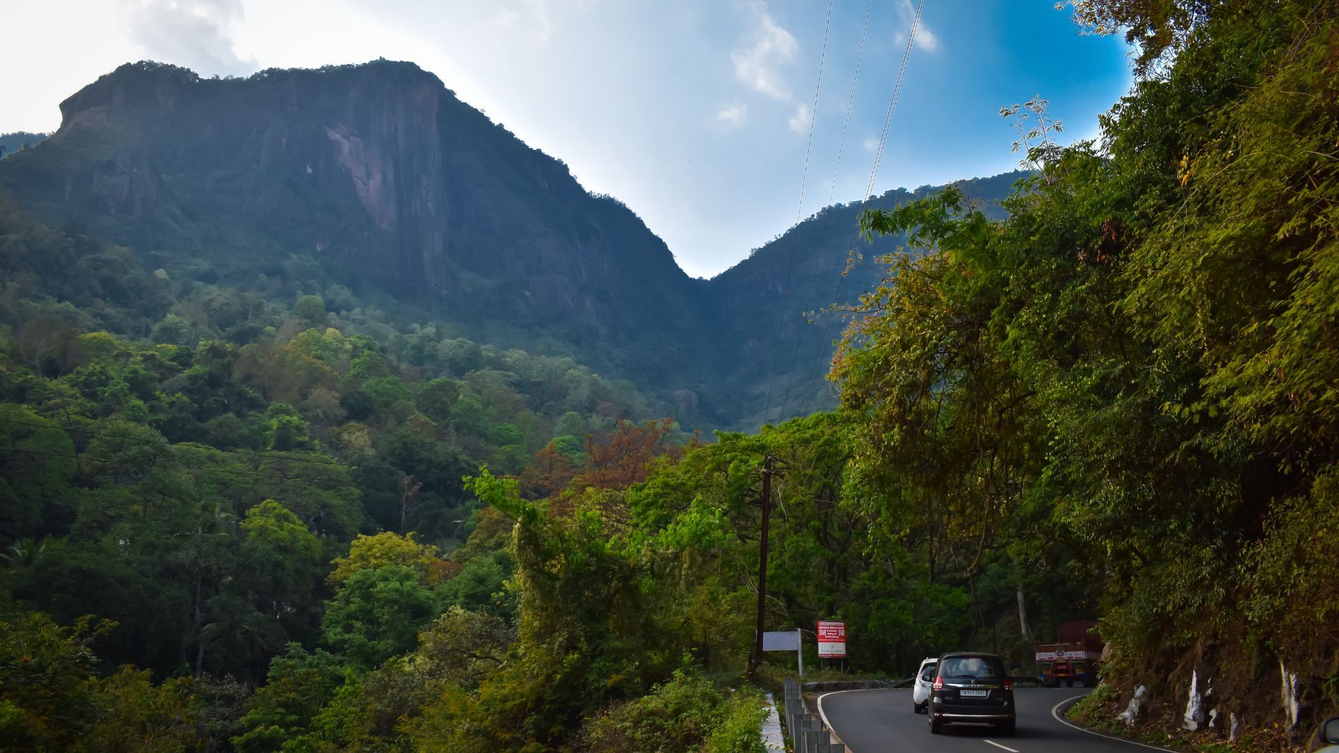 Scenic Drives In India For A Breathtaking Forest Trip This Summer