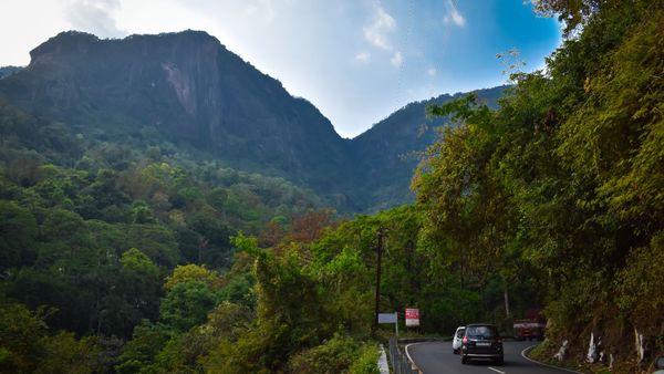 Scenic Drives In India For A Breathtaking Forest Trip This Summer