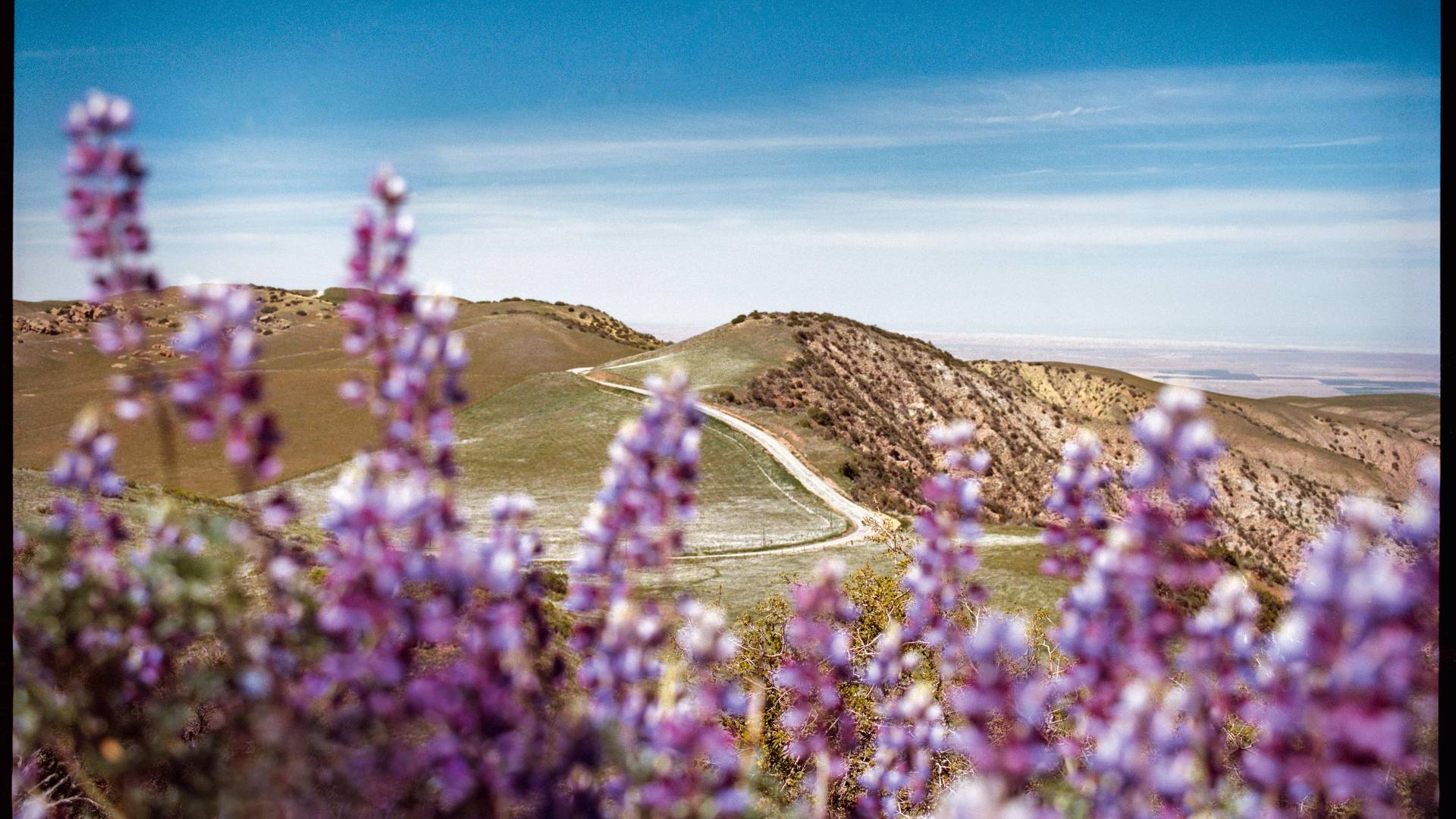 Cuyama Valley In California Welcomes a Thriving Creative Community