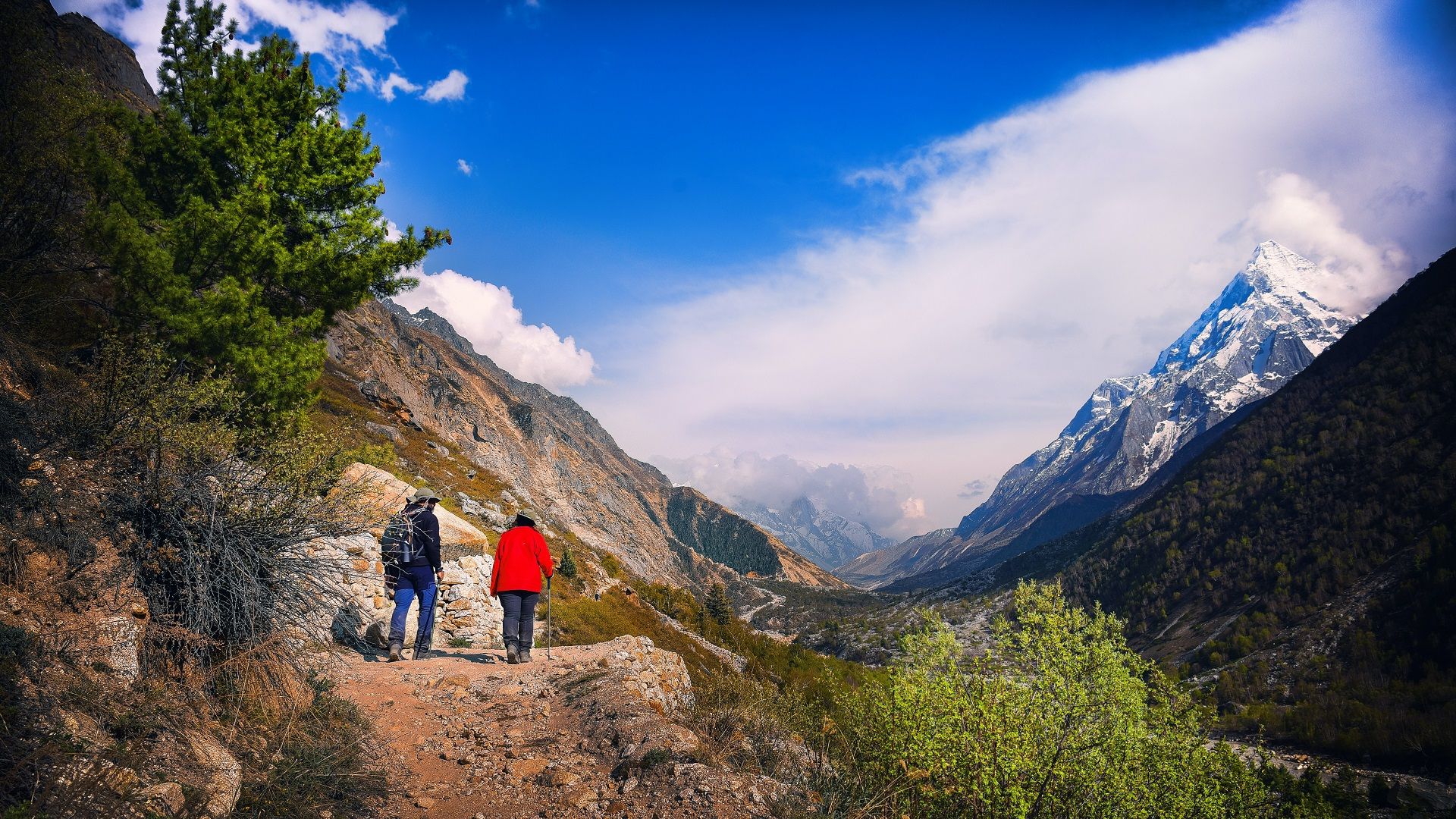 A Detailed Guide On Gartang Gali Trek