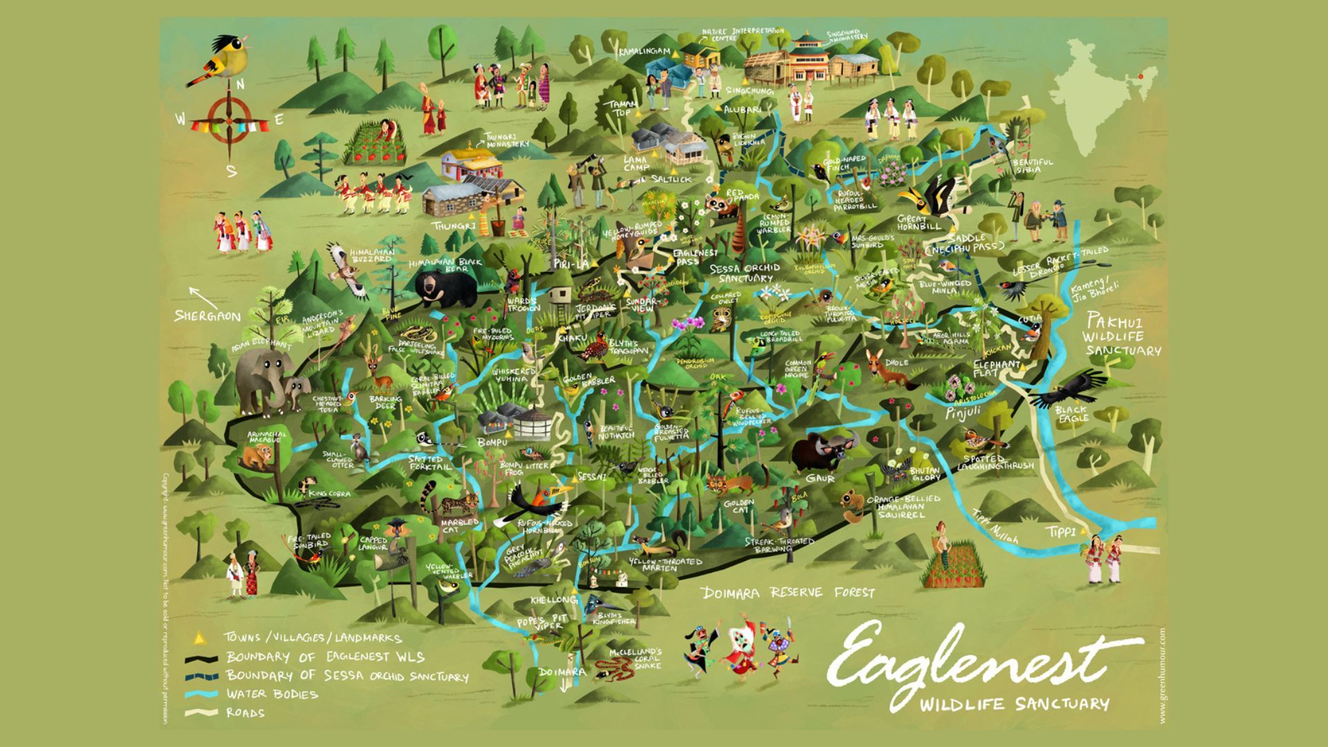 Rohan Chakravarty, A Cartoonist, Draws Attention To The Environment