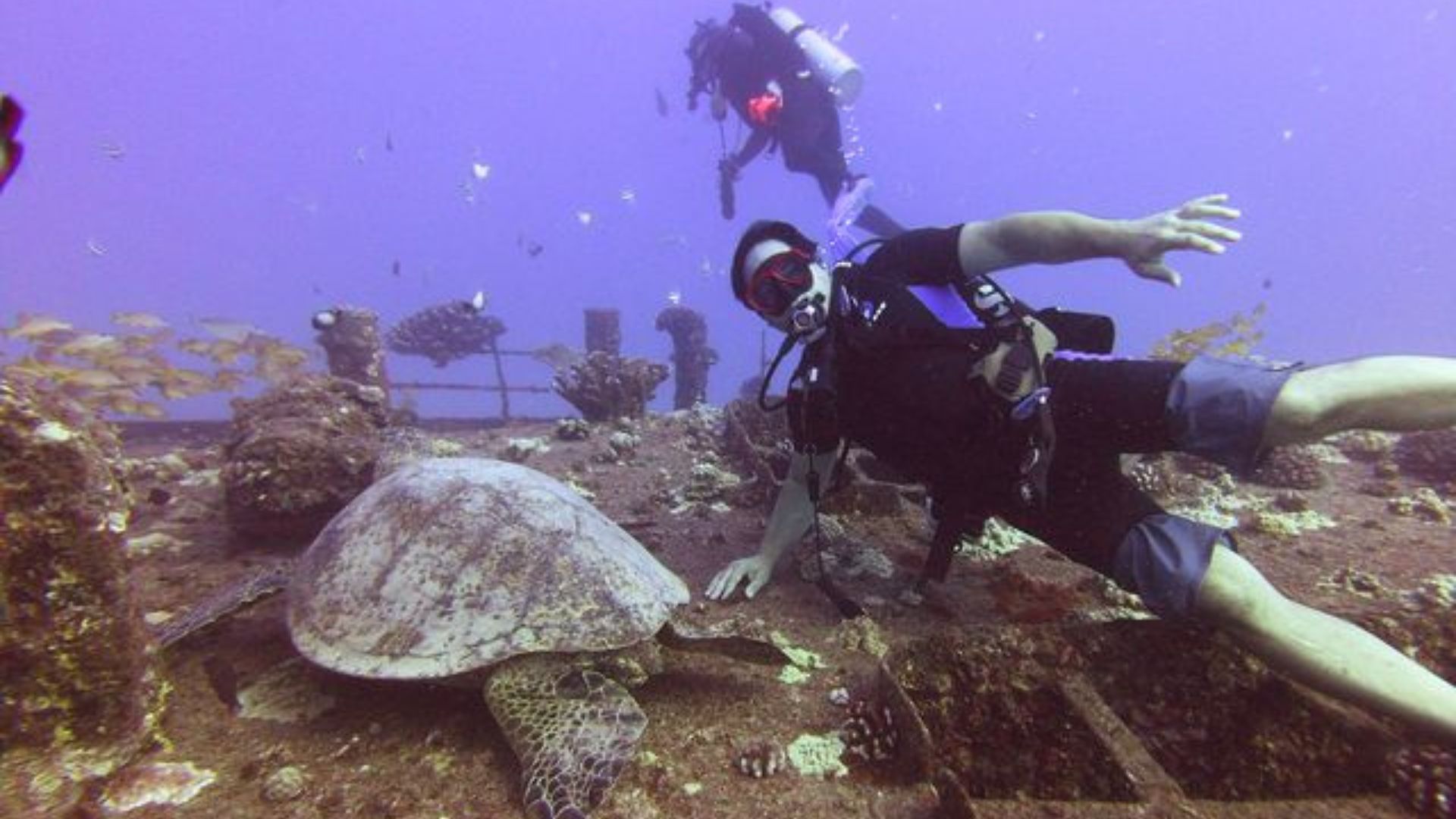 The Best Times To Visit Belize For The Ultimate Tropical Vacation