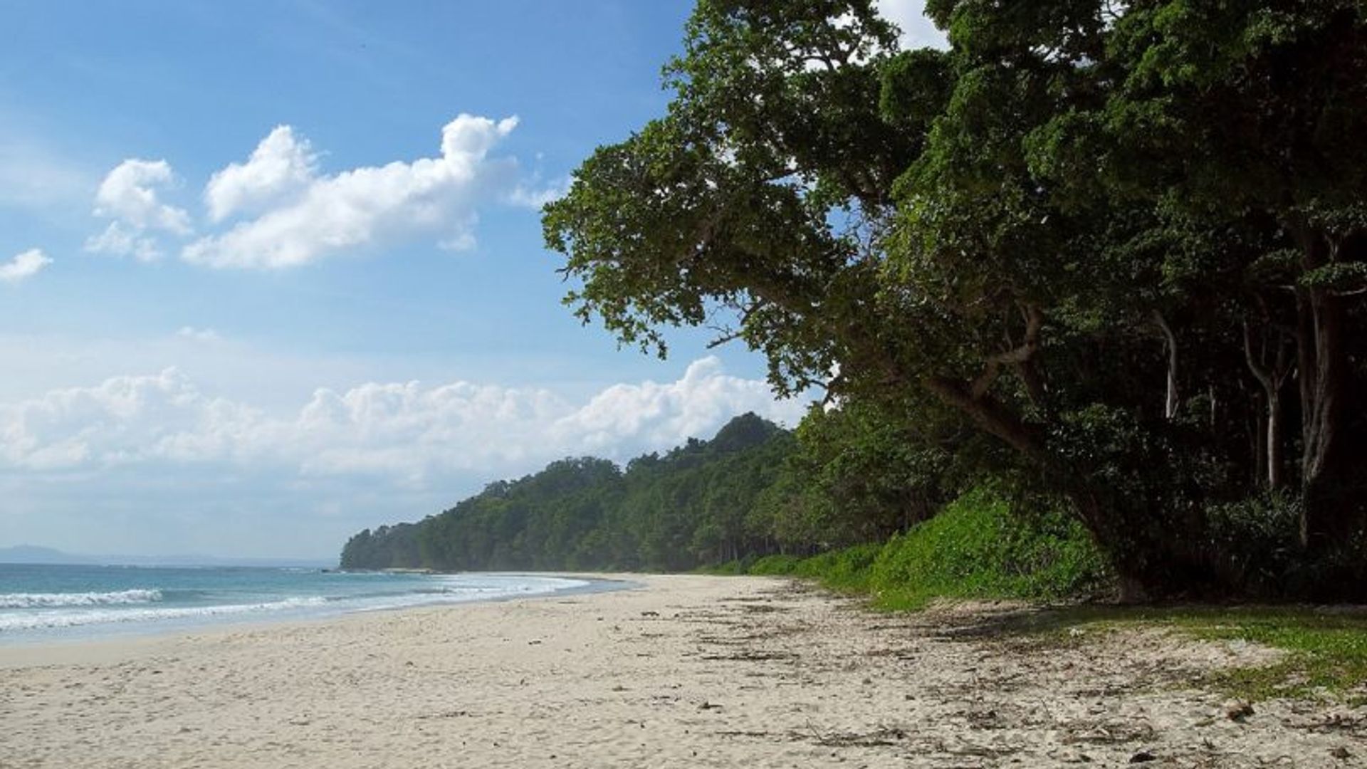 The Most Beautiful Beaches In India