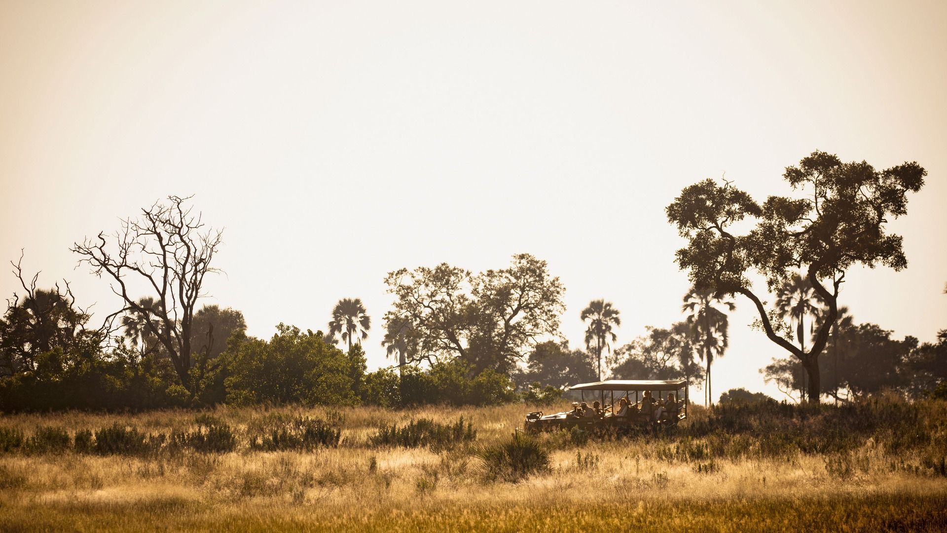 Botswana Is A Birdlover's Paradise—See For Yourself!